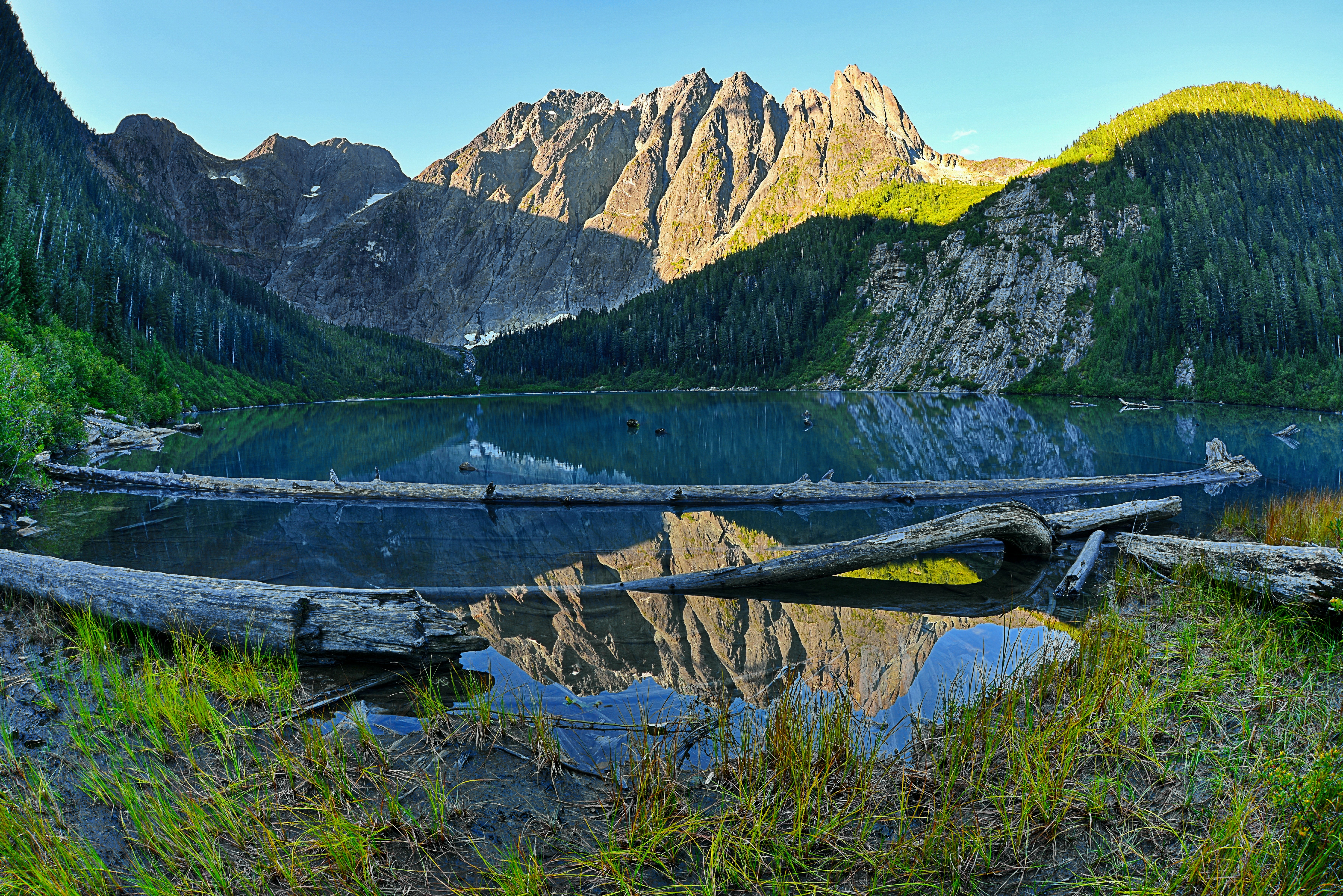 Brown wooden log on lake near mountain during daytime photo – Free ...