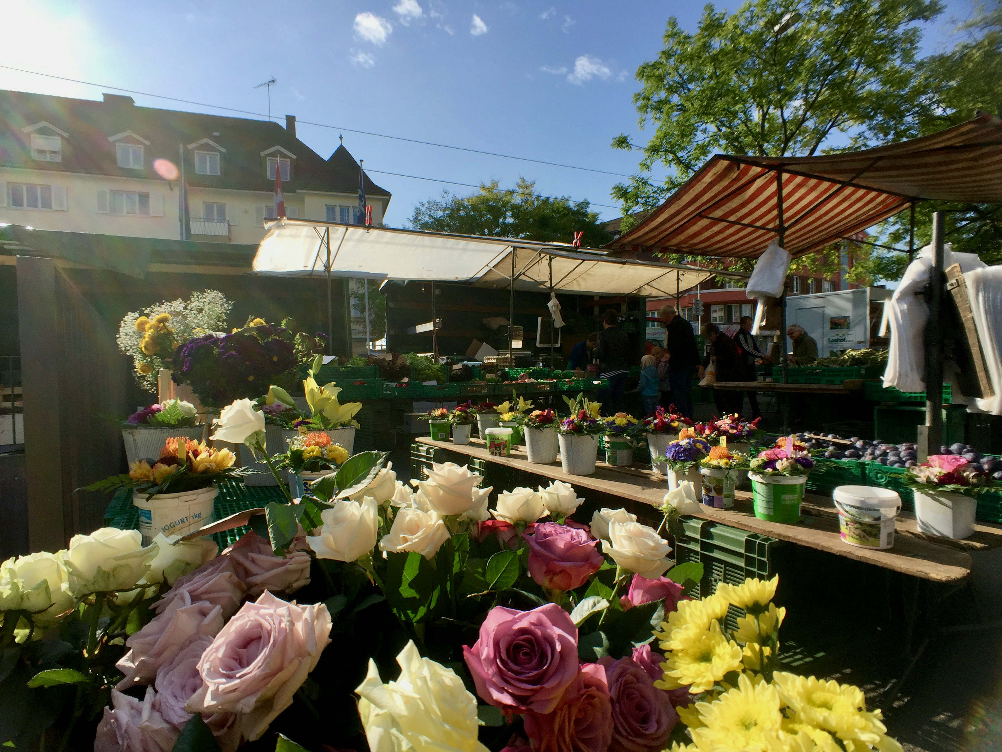 Colorful flower stalls brimming with roses and other blooms in a lively market setting. Sunlight filters through the canopies, enhancing the scene.