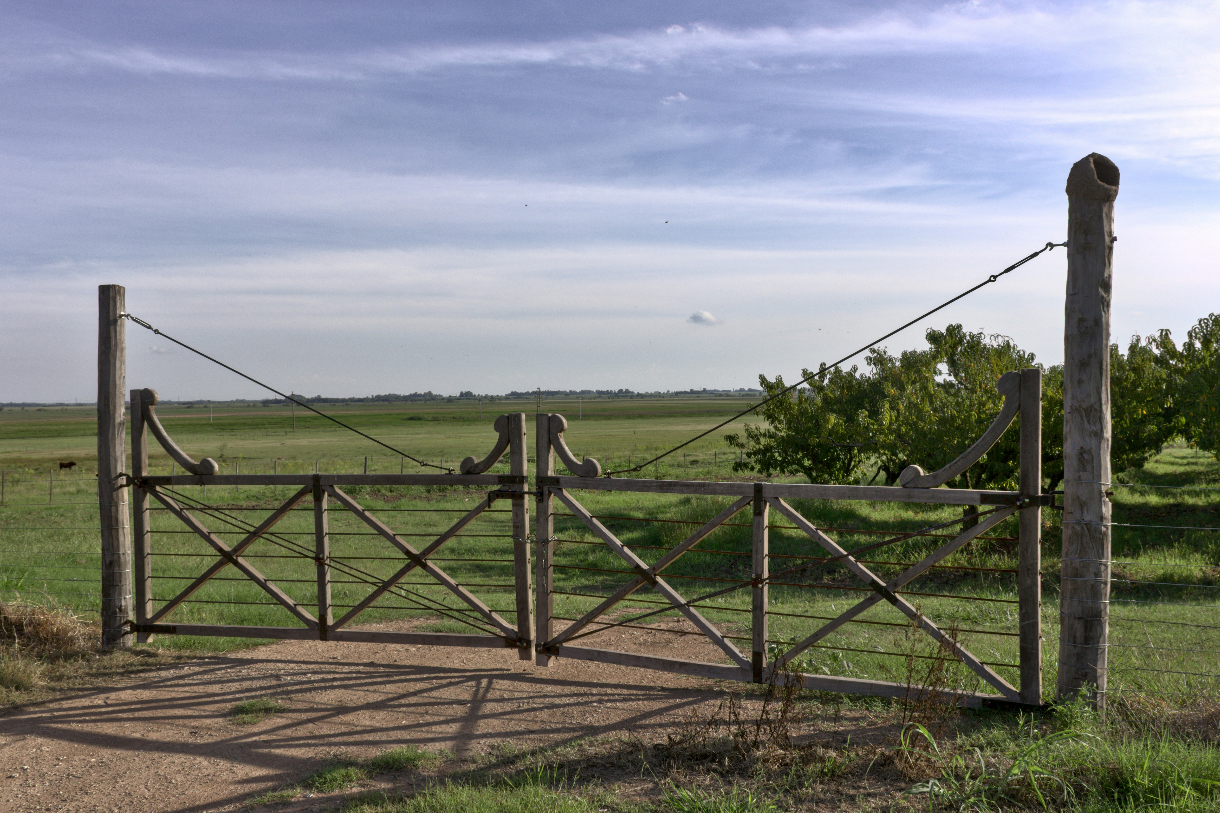 Weathered Gate at the Edge of the Prairie, Framing an Endless Field