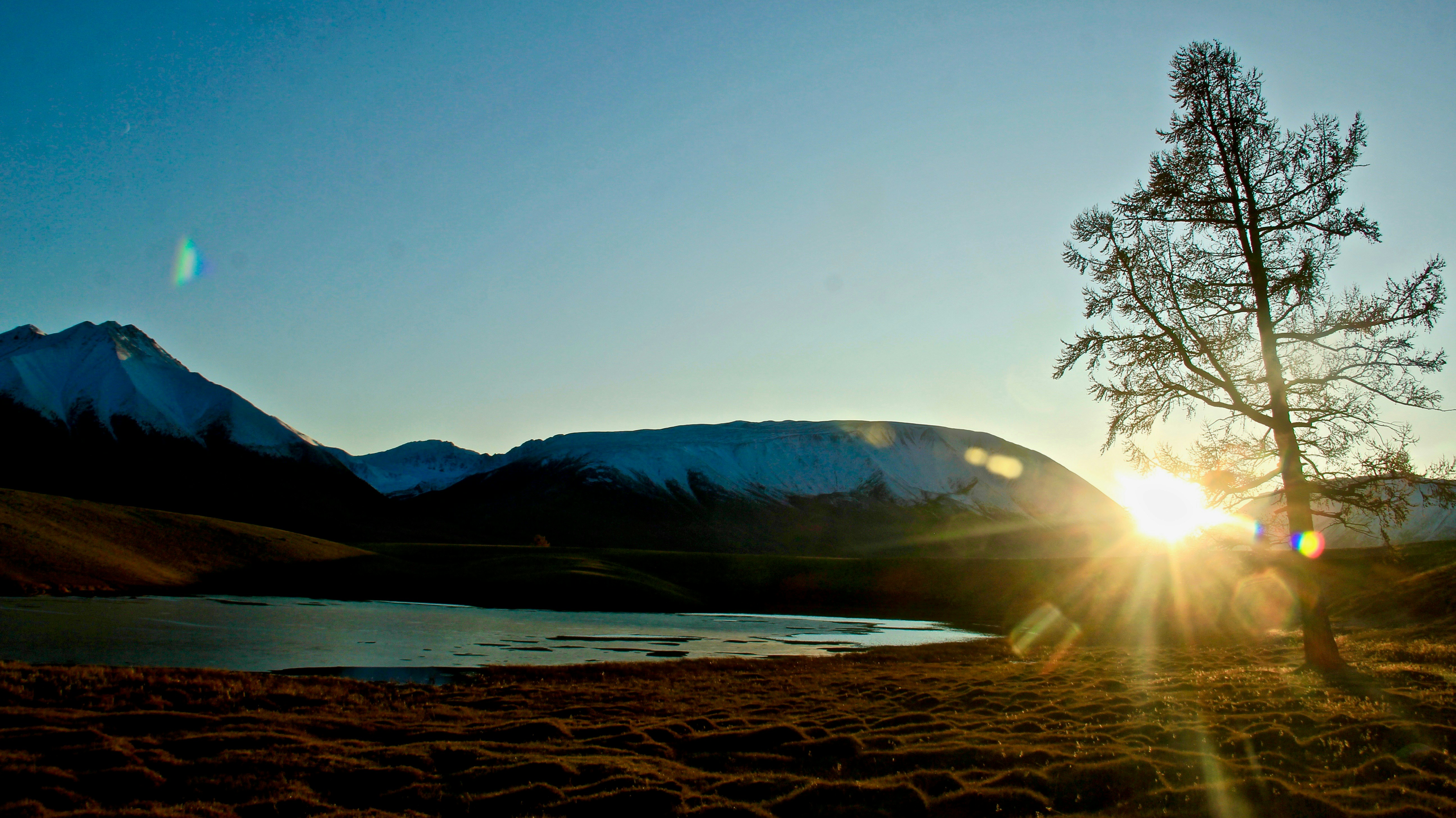 Sun setting behind a tree with snow-capped mountains and a tranquil lake in the background.
