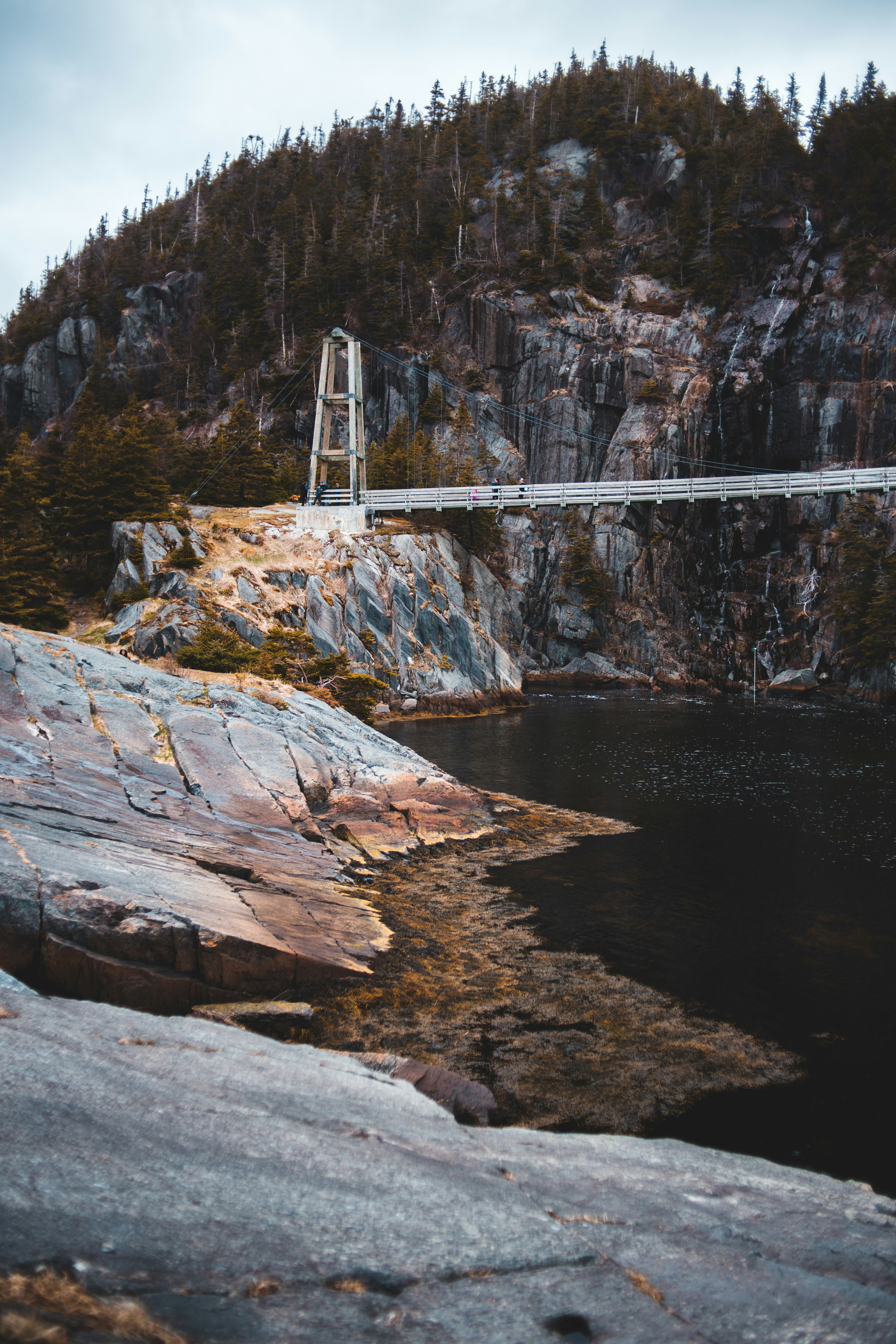 White bridge over river during daytime photo – Free Grey Image on Unsplash