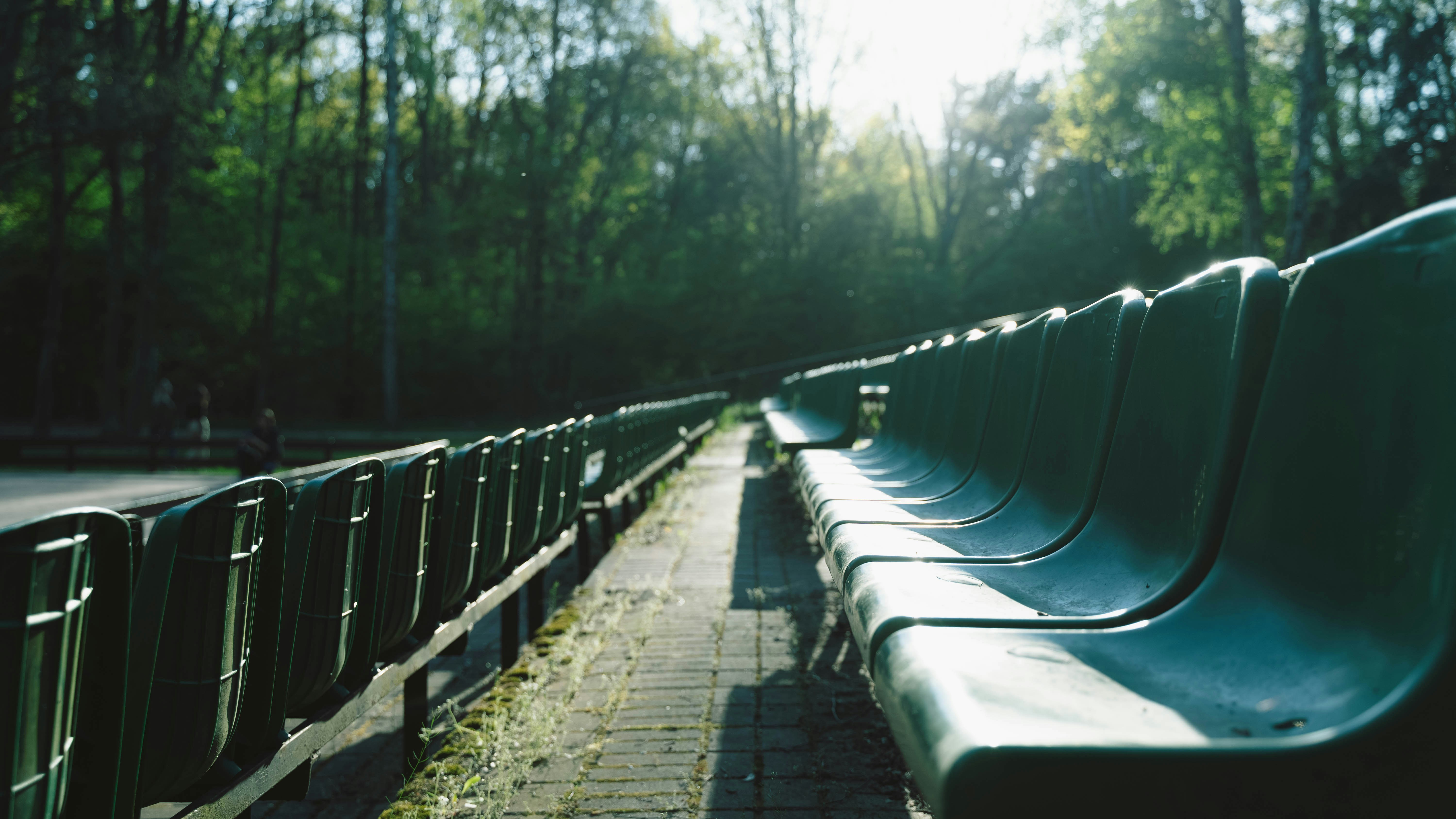 Row of empty green seats in a sunlit park, surrounded by lush trees. The scene evokes a sense of nostalgia and tranquility.
