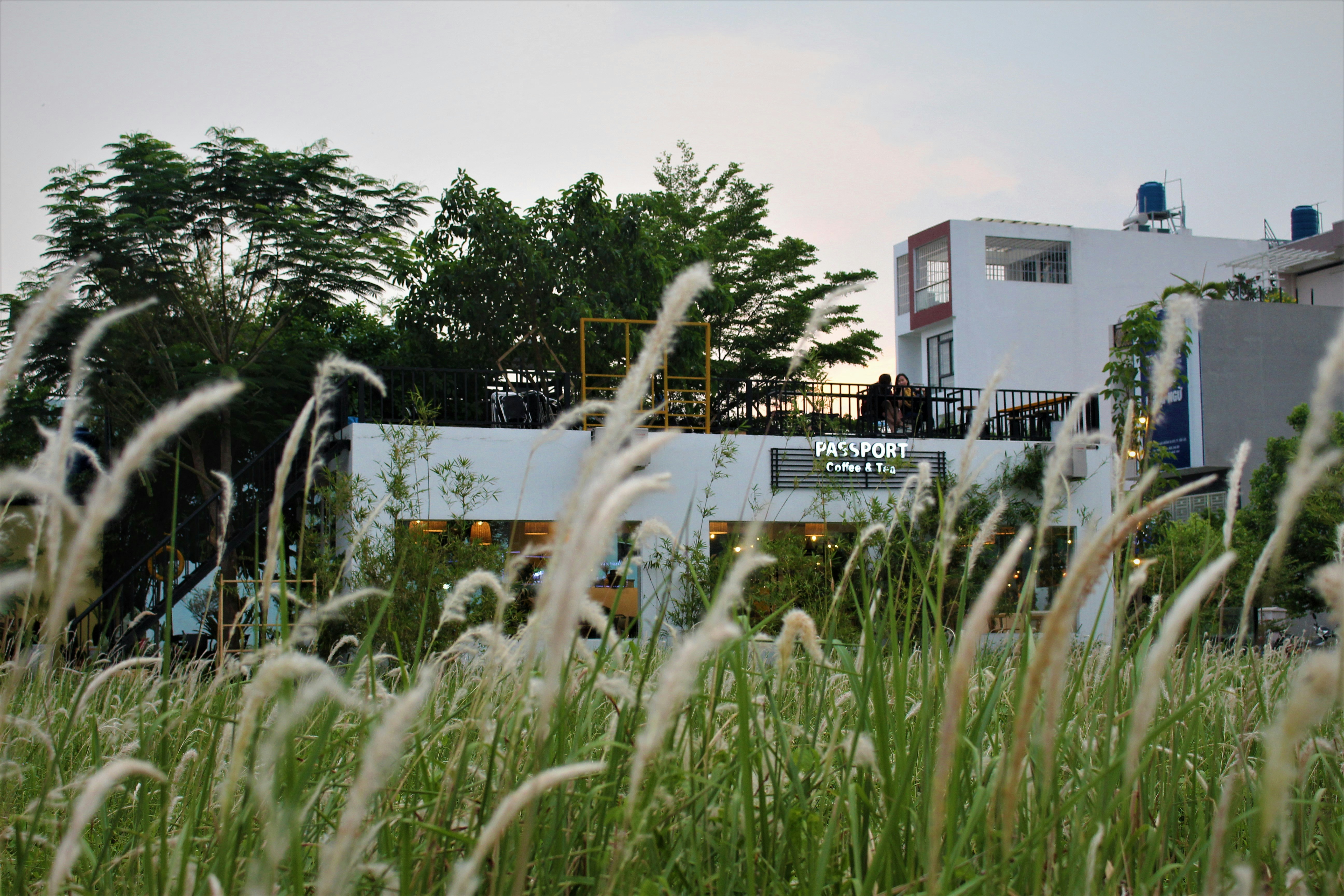 Reedland