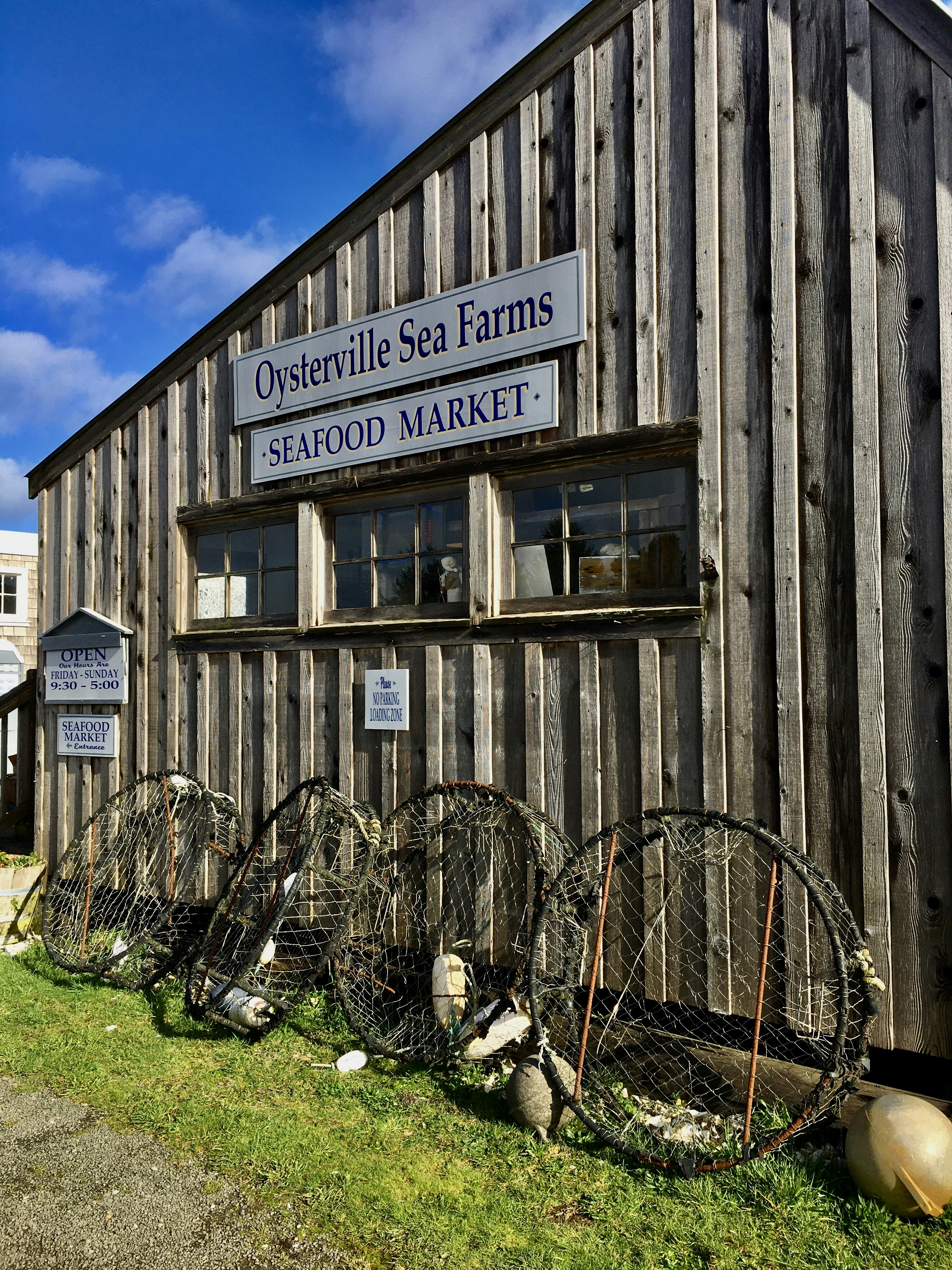 Weathered Waterside Market: Oysterville Sea Farms Sign Amid Coastal Crab Traps