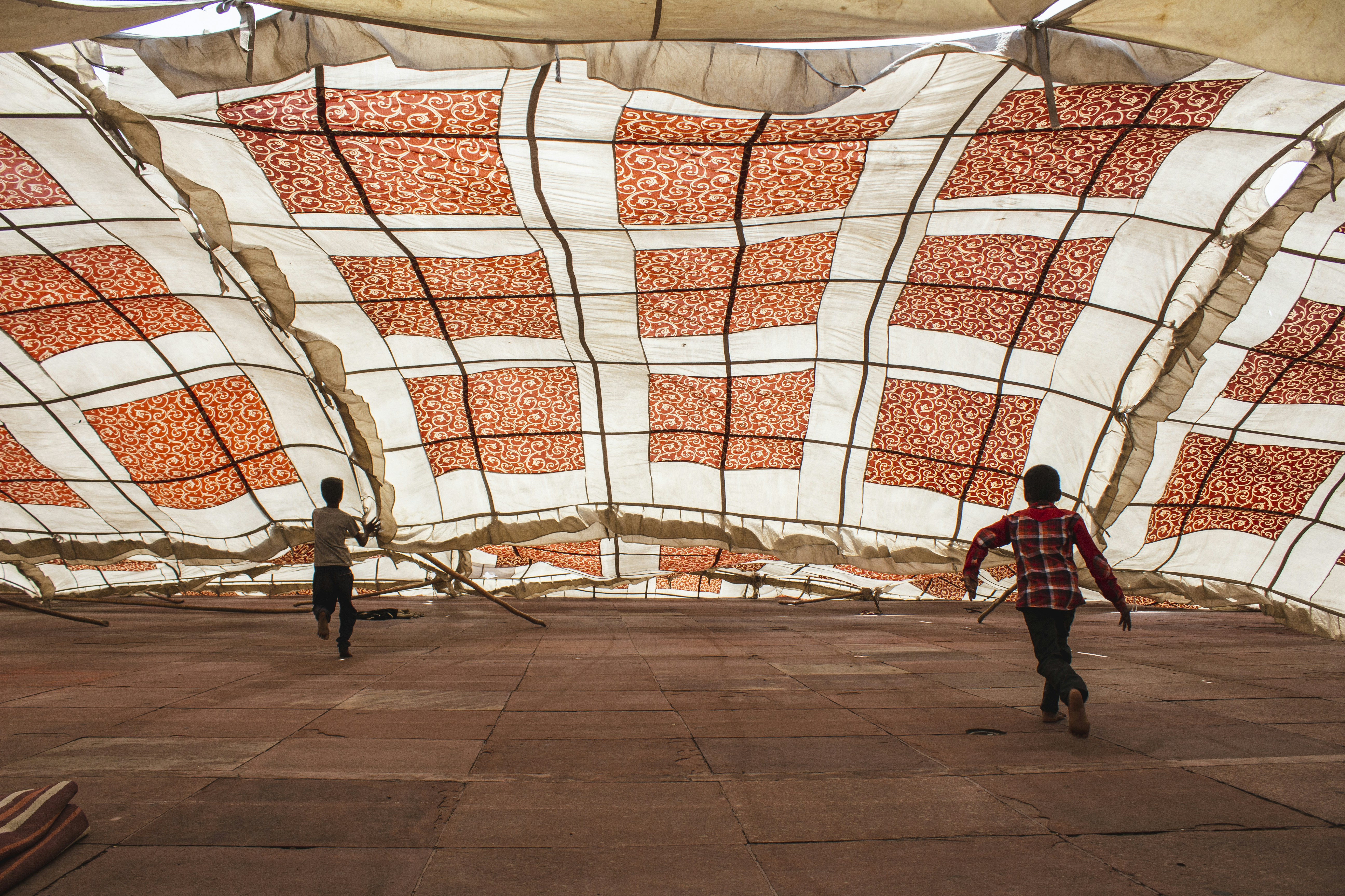 Children Chase Light Through a Vast Painted Canopy