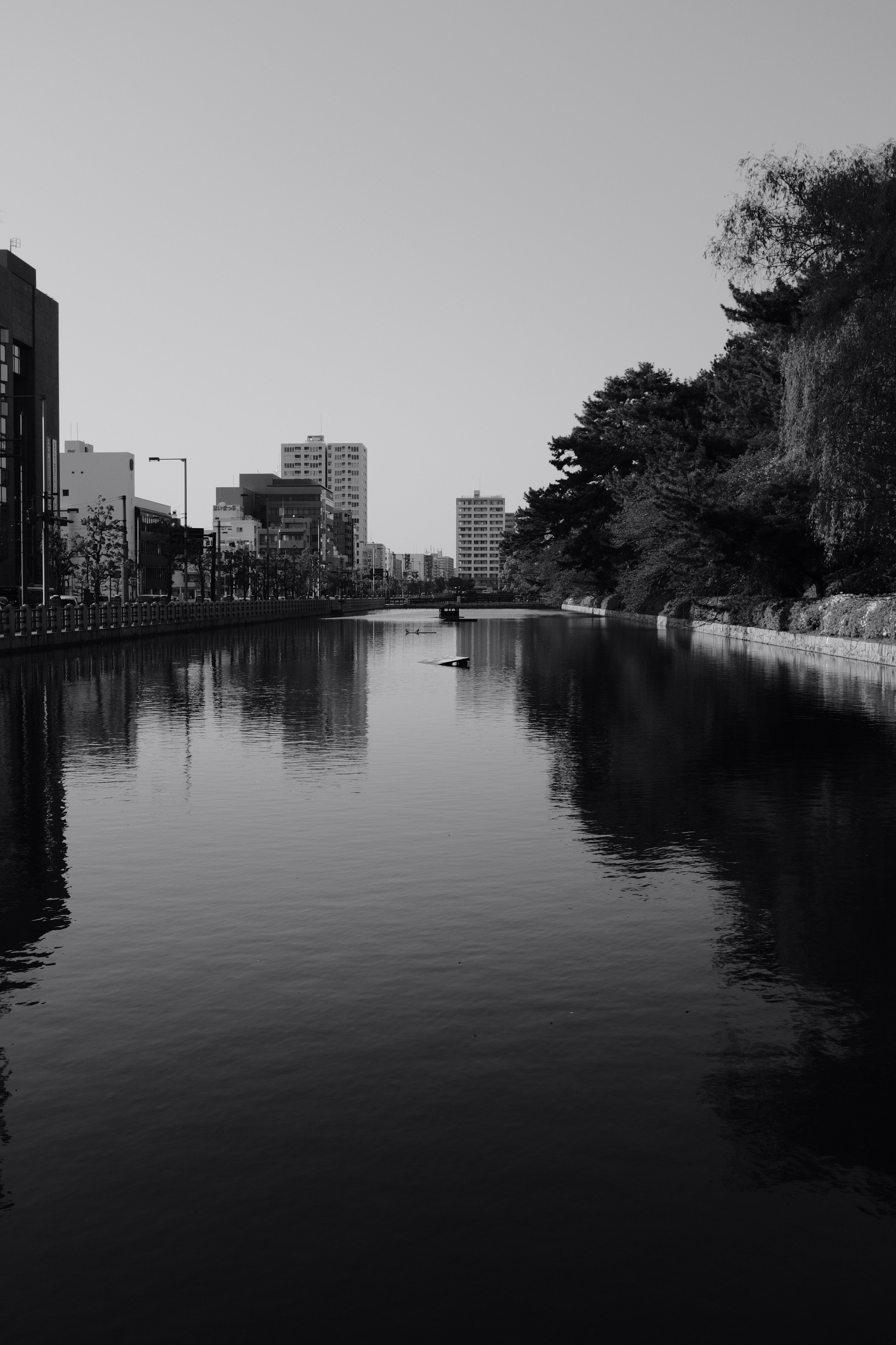 Grayscale photo of river between trees and buildings photo – Free Grey ...