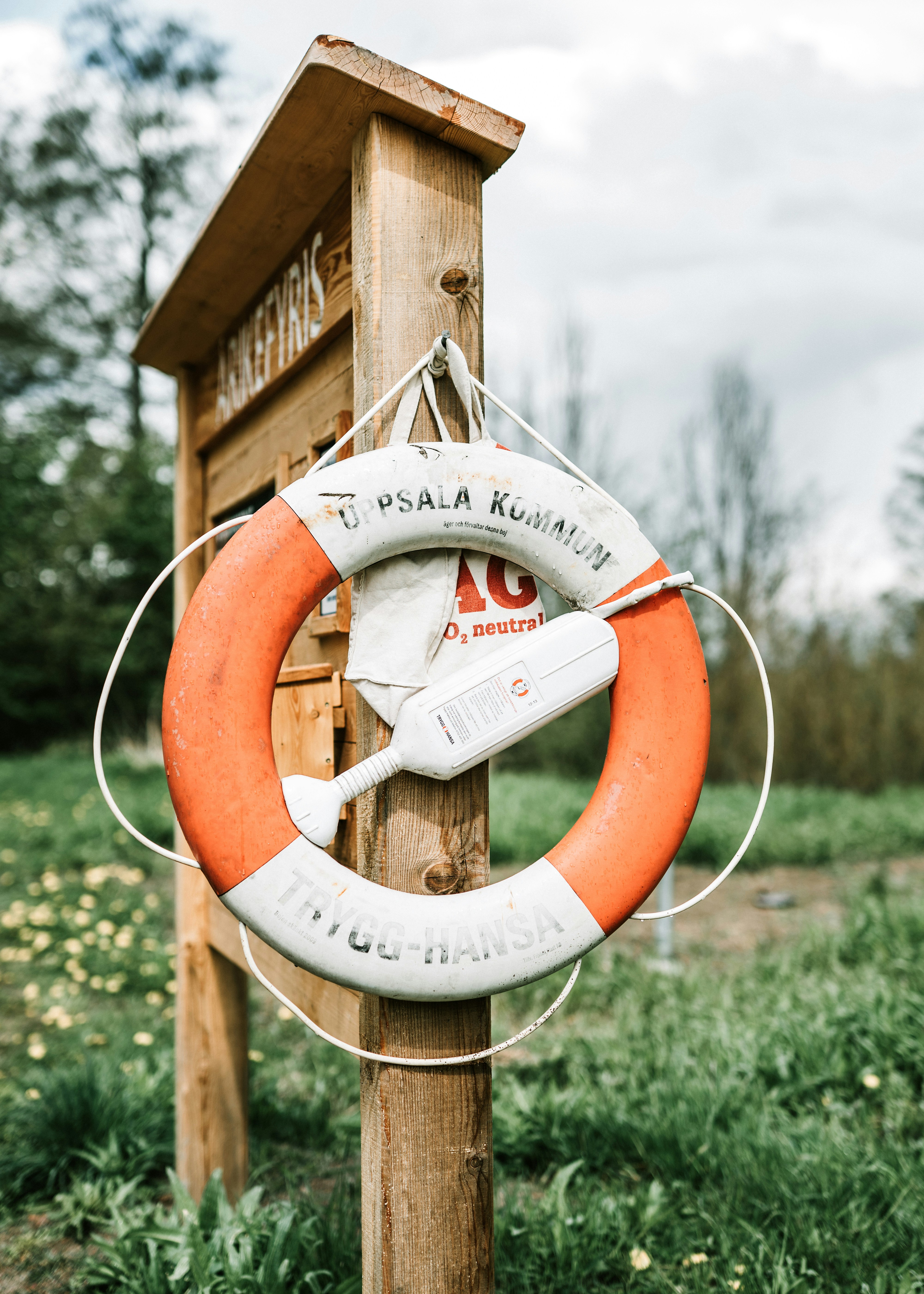 Lifebuoy on a Rustic Post, a Quiet Seascape of Safety