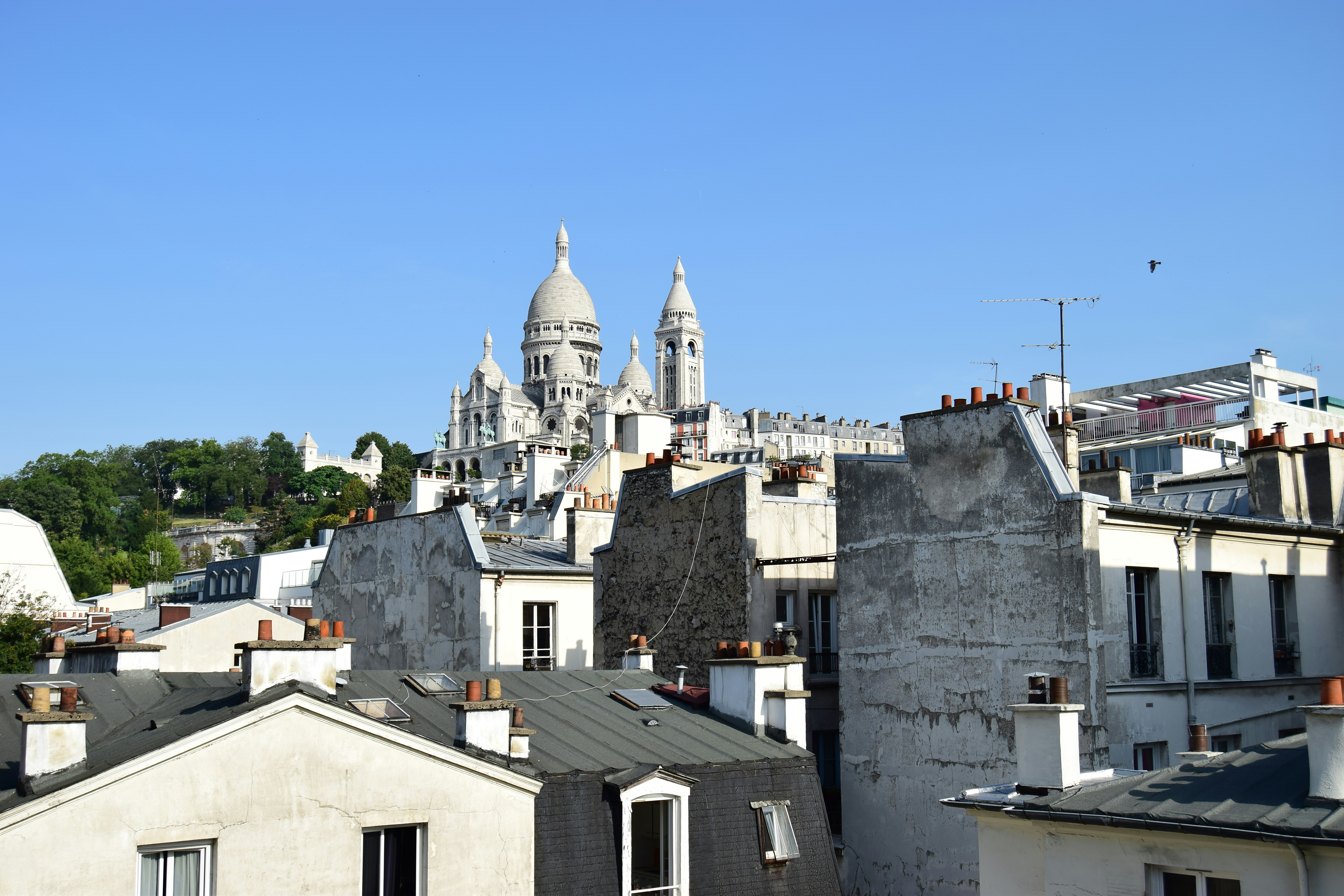 Rudy Issa (@rudy_issa) | Unsplash Photo Community