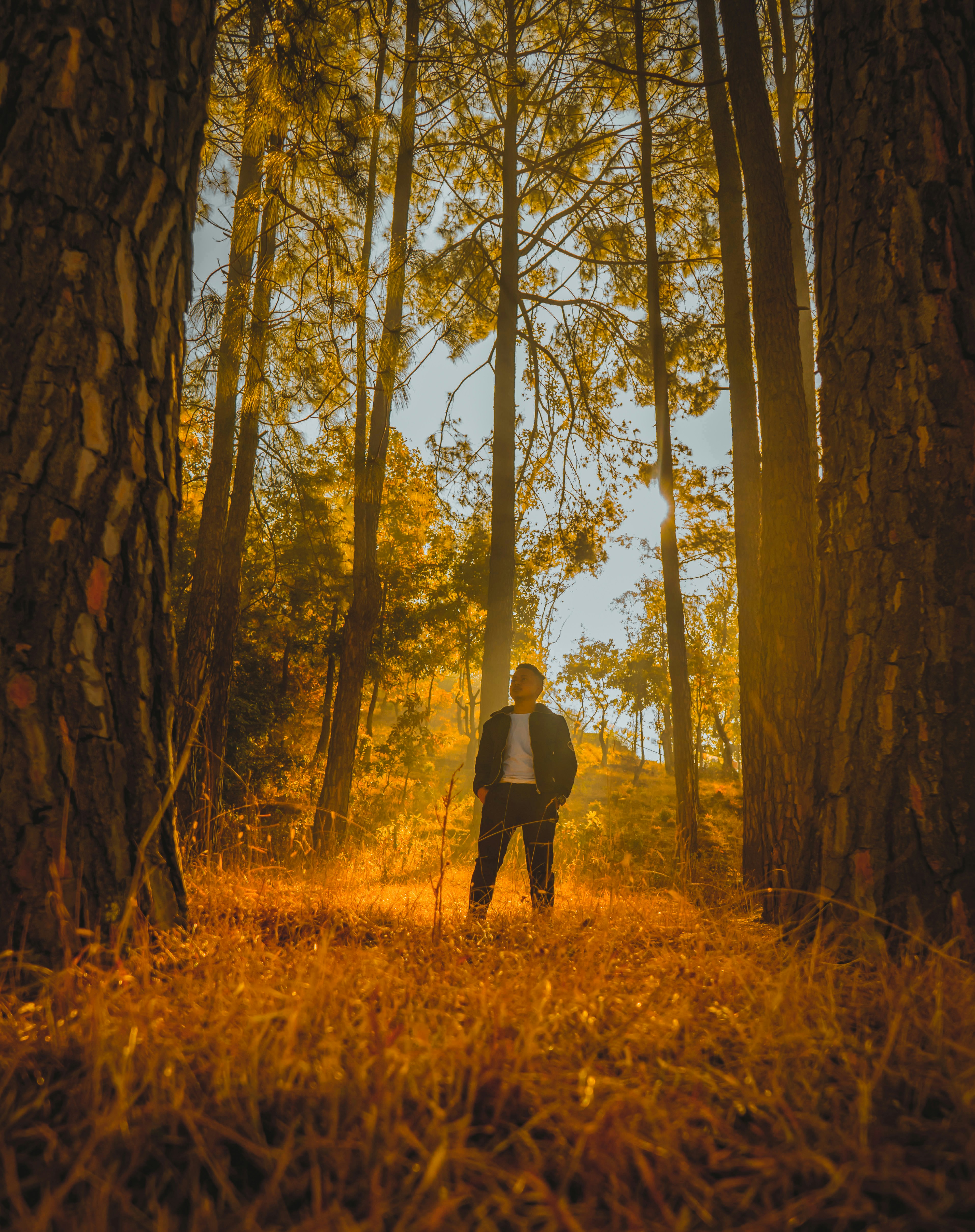 A boy standing in the woods. | man in black jacket standing on brown grass field surrounded by trees during daytime