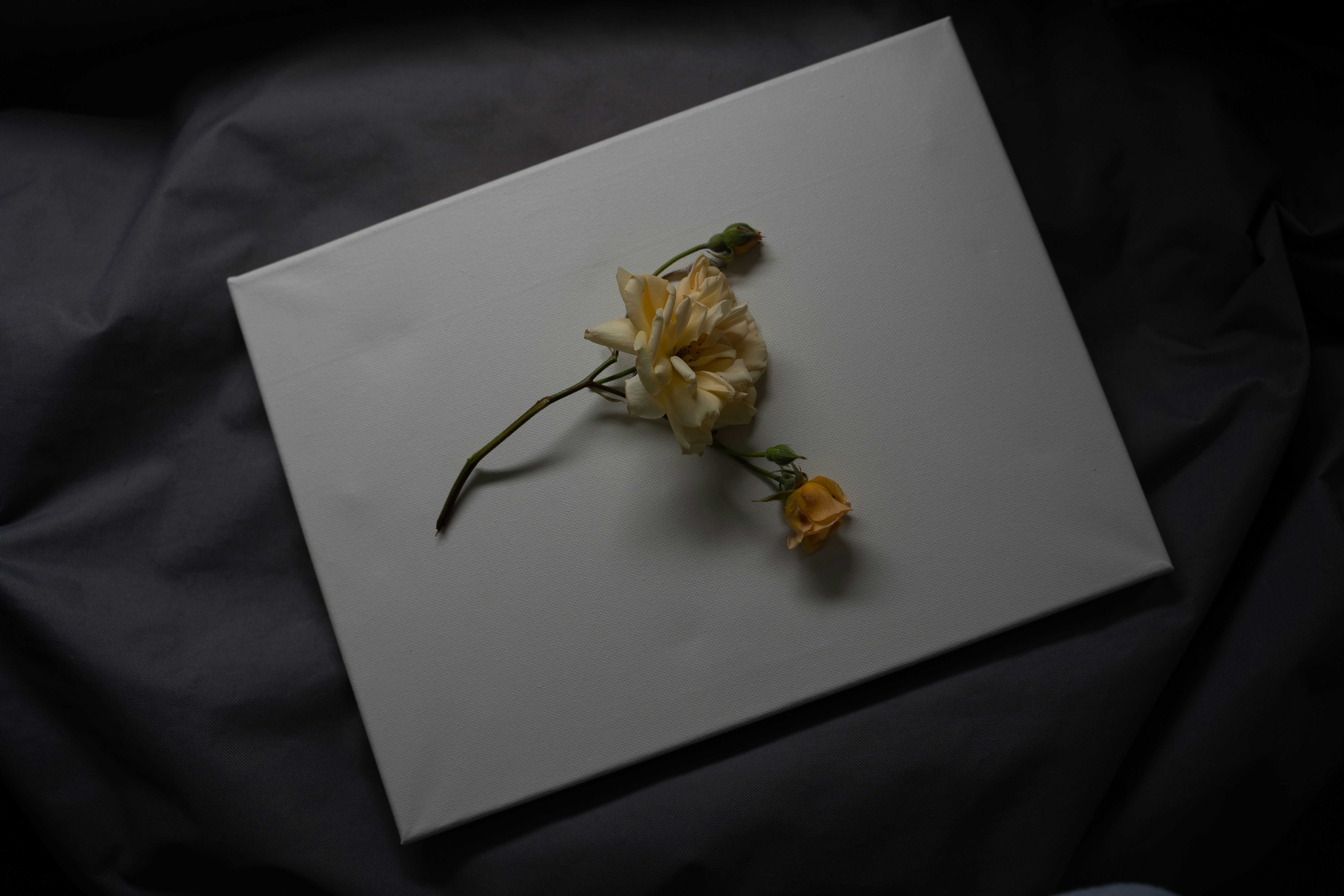 Duncan McCabe (@dmccabe) | Comunidade de fotos da Unsplash