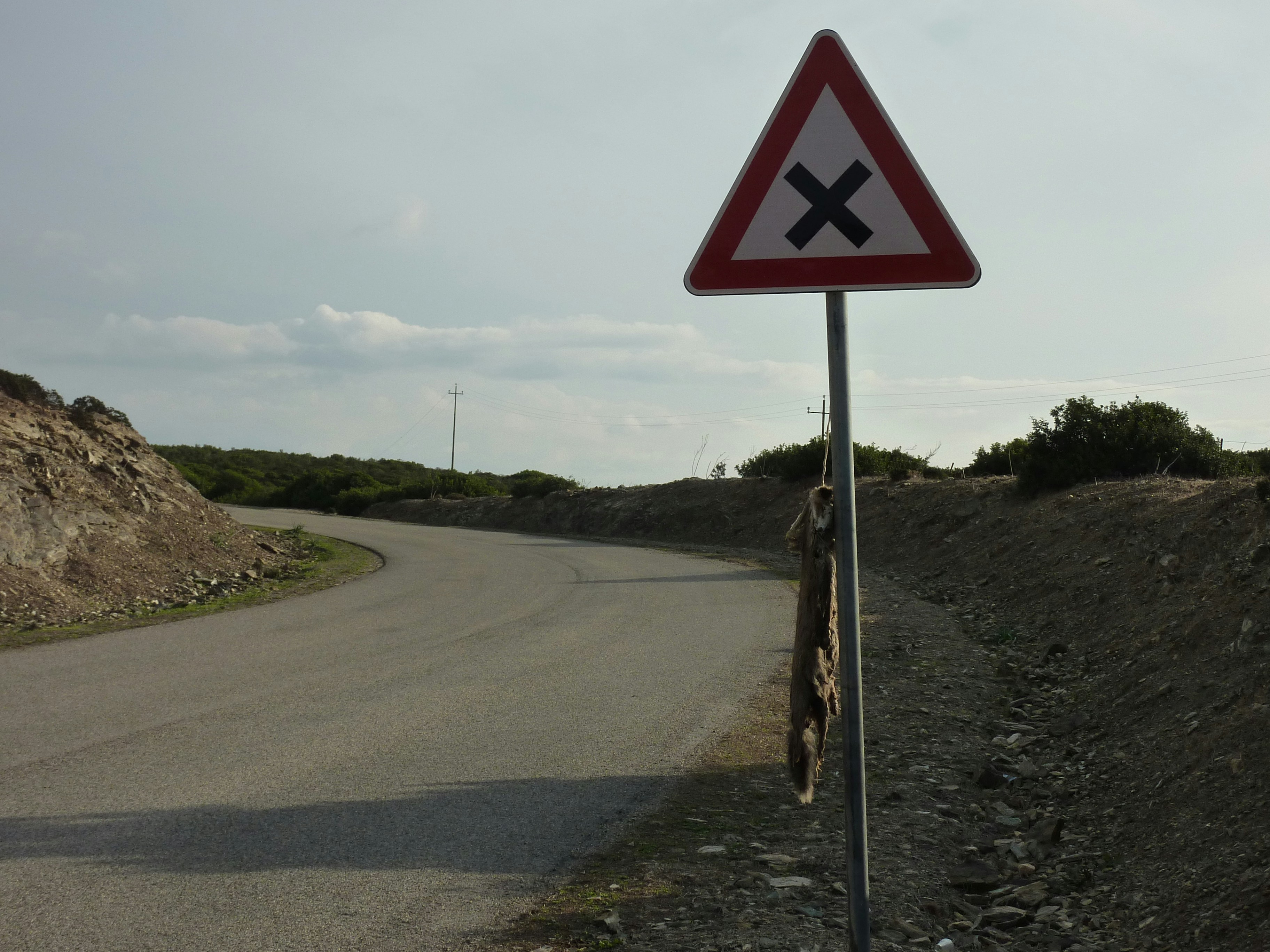 Red and white road sign photo – Free Road sign Image on Unsplash