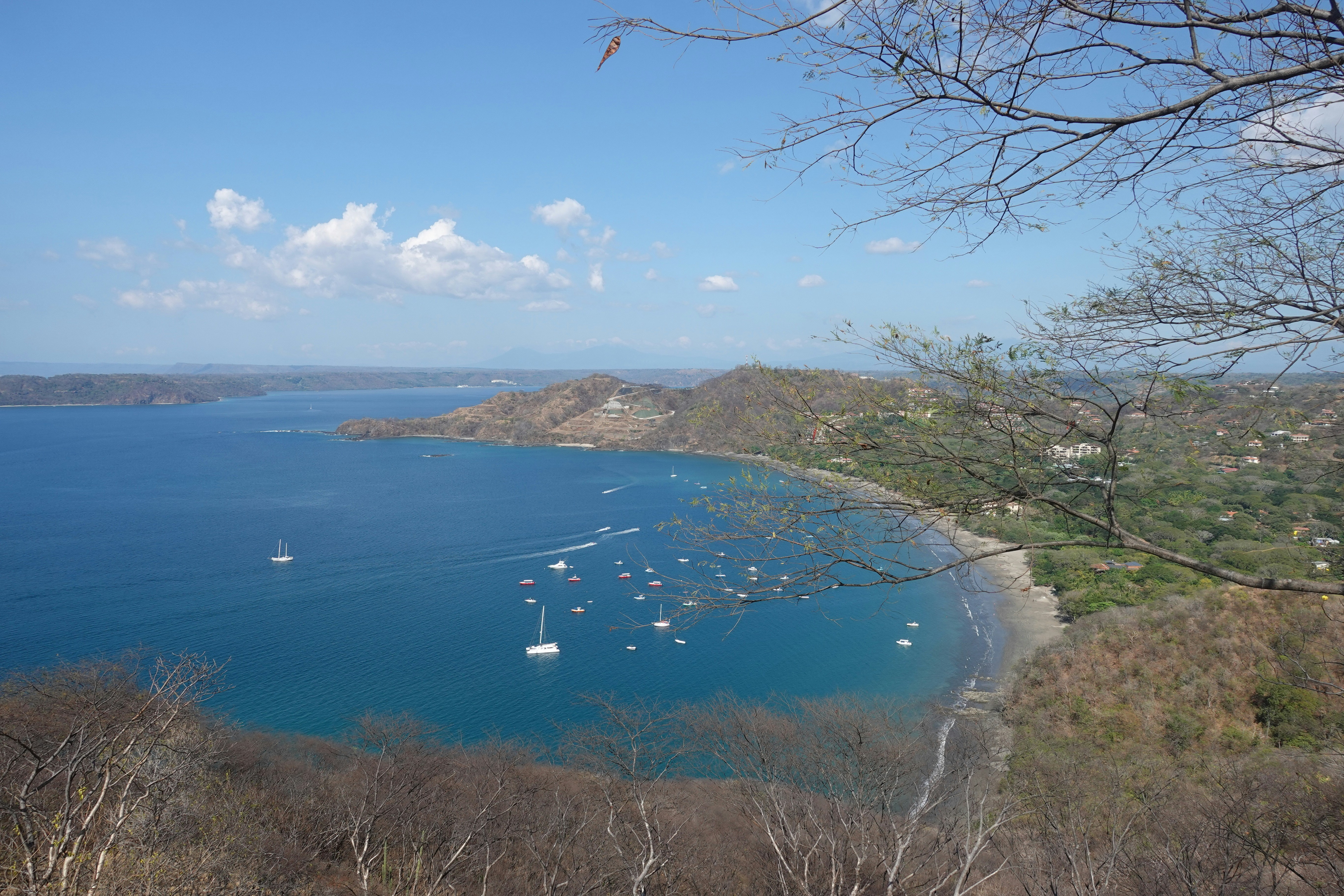 Cove of Sails: A Quiet Marina Framed by Coastal Slope