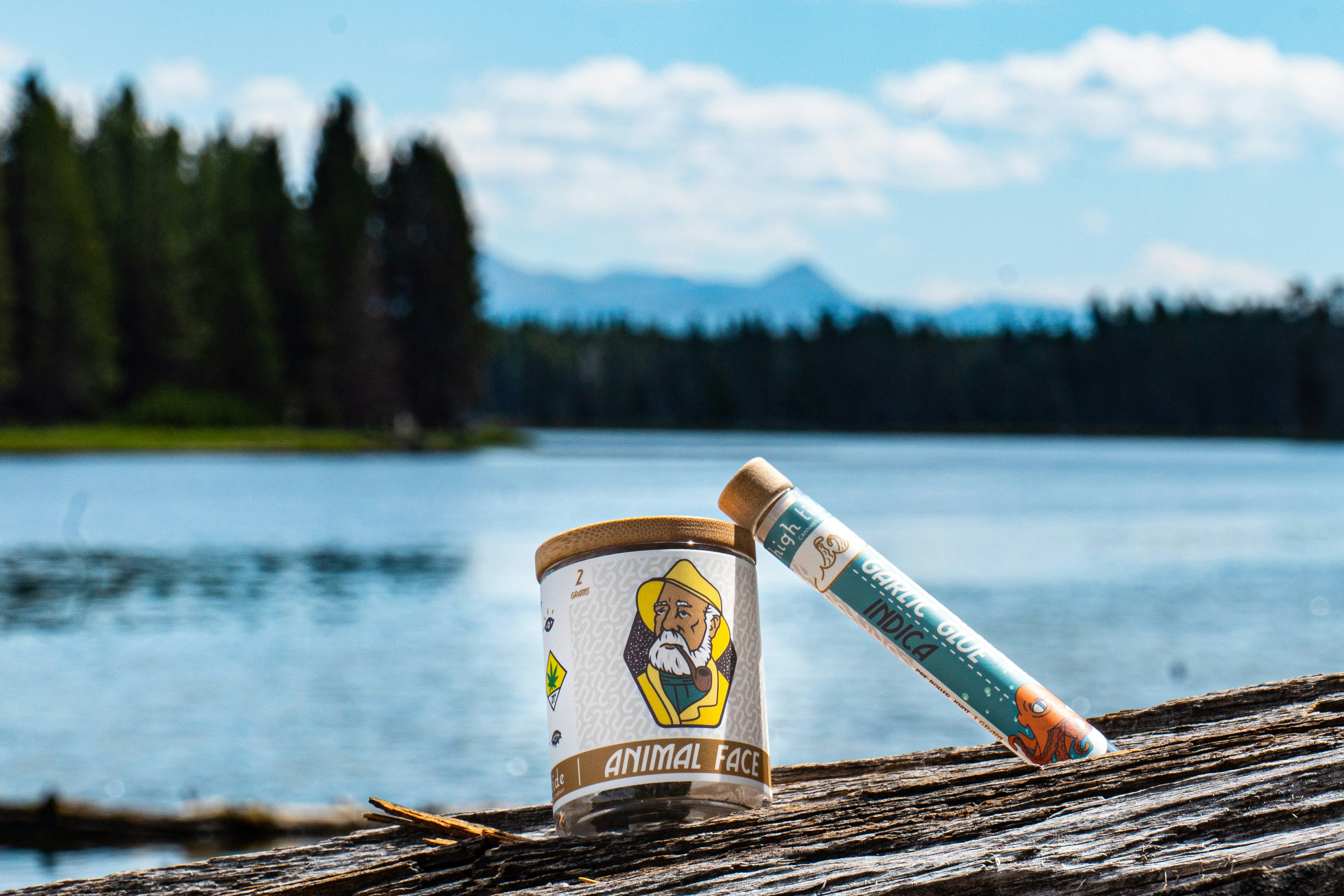 White and blue labeled cup on brown wooden log near body of water ...
