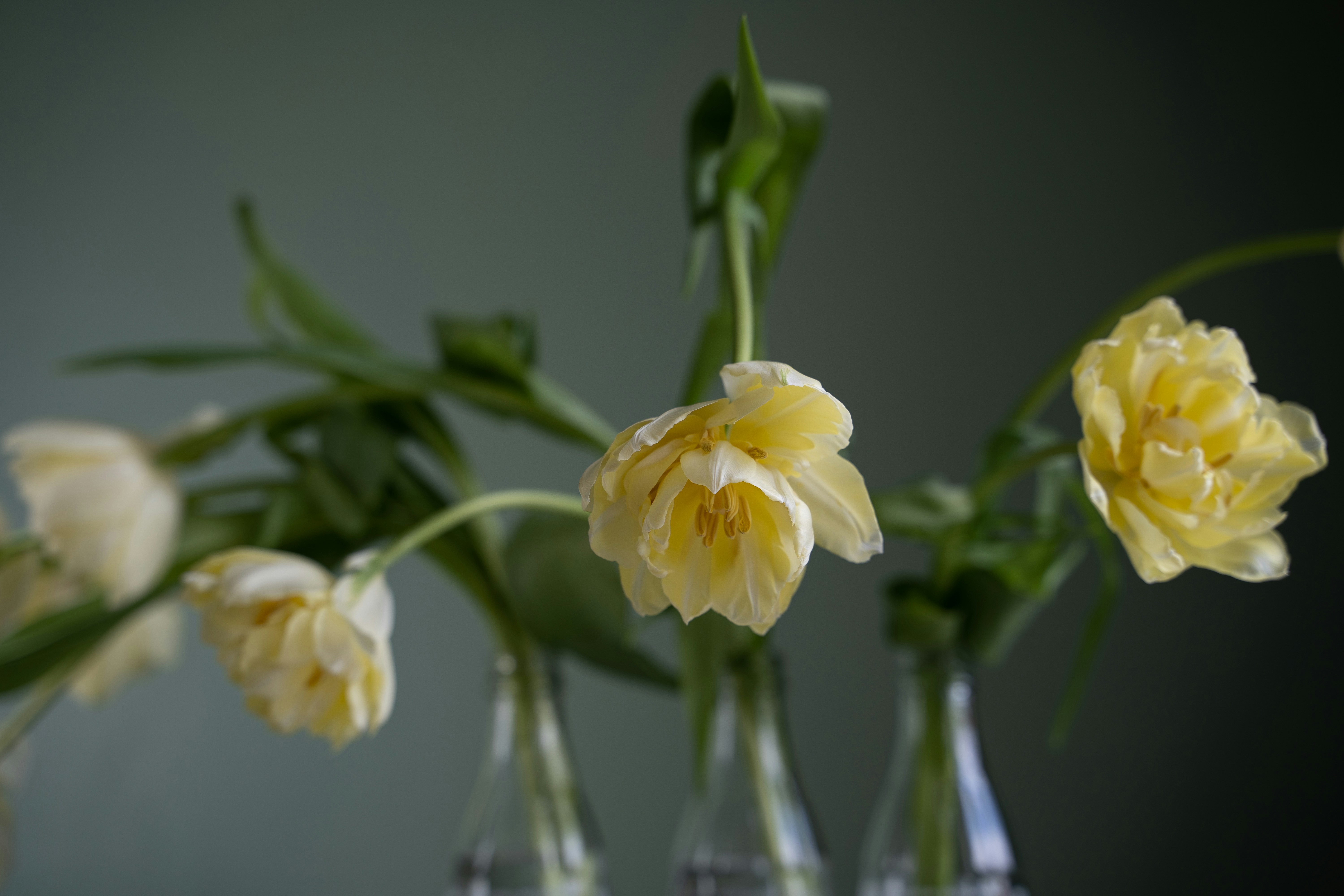 Duncan McCabe (@dmccabe) | Comunidade de fotos da Unsplash