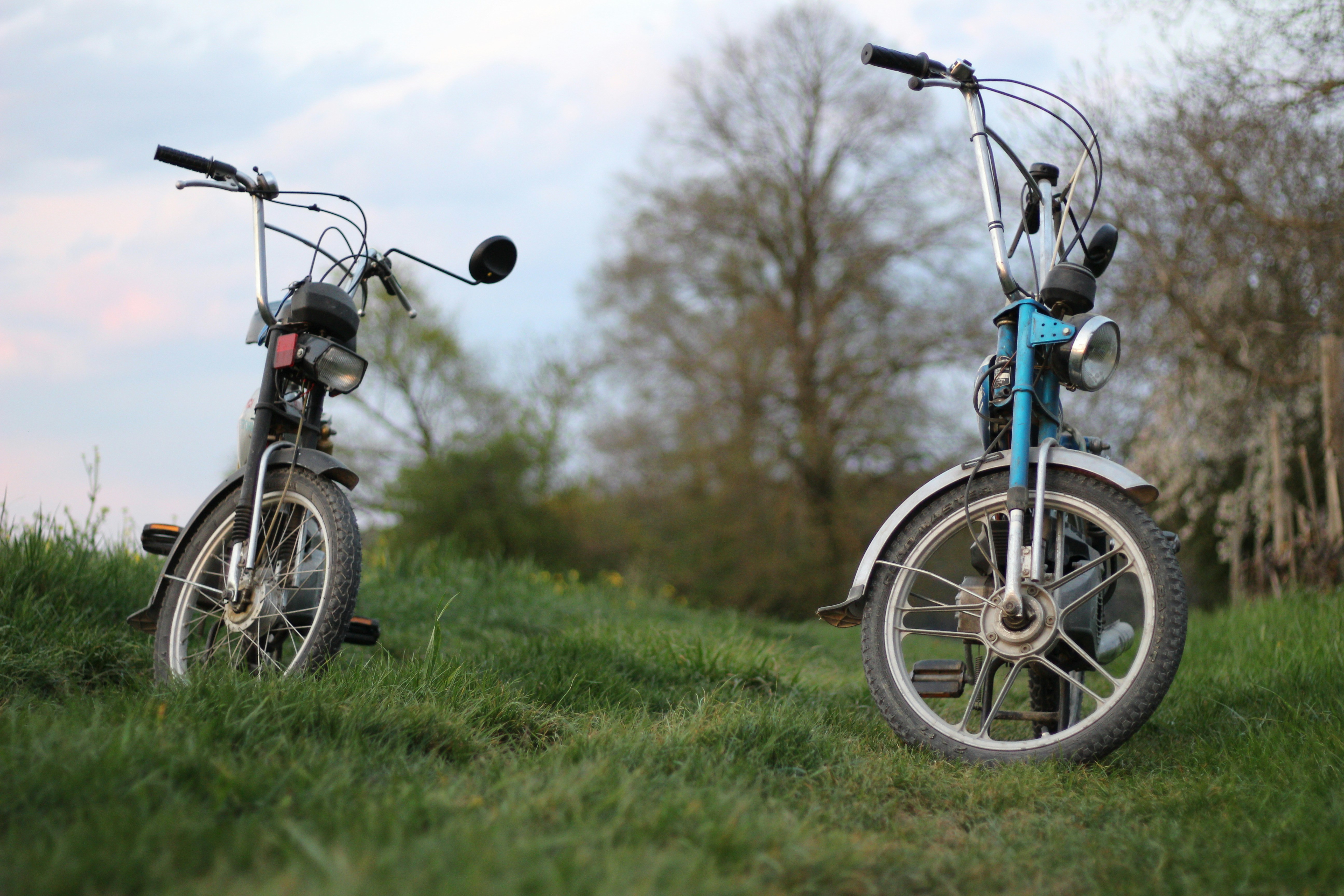 Blue and black bicycle on green grass field during daytime photo – Free ...