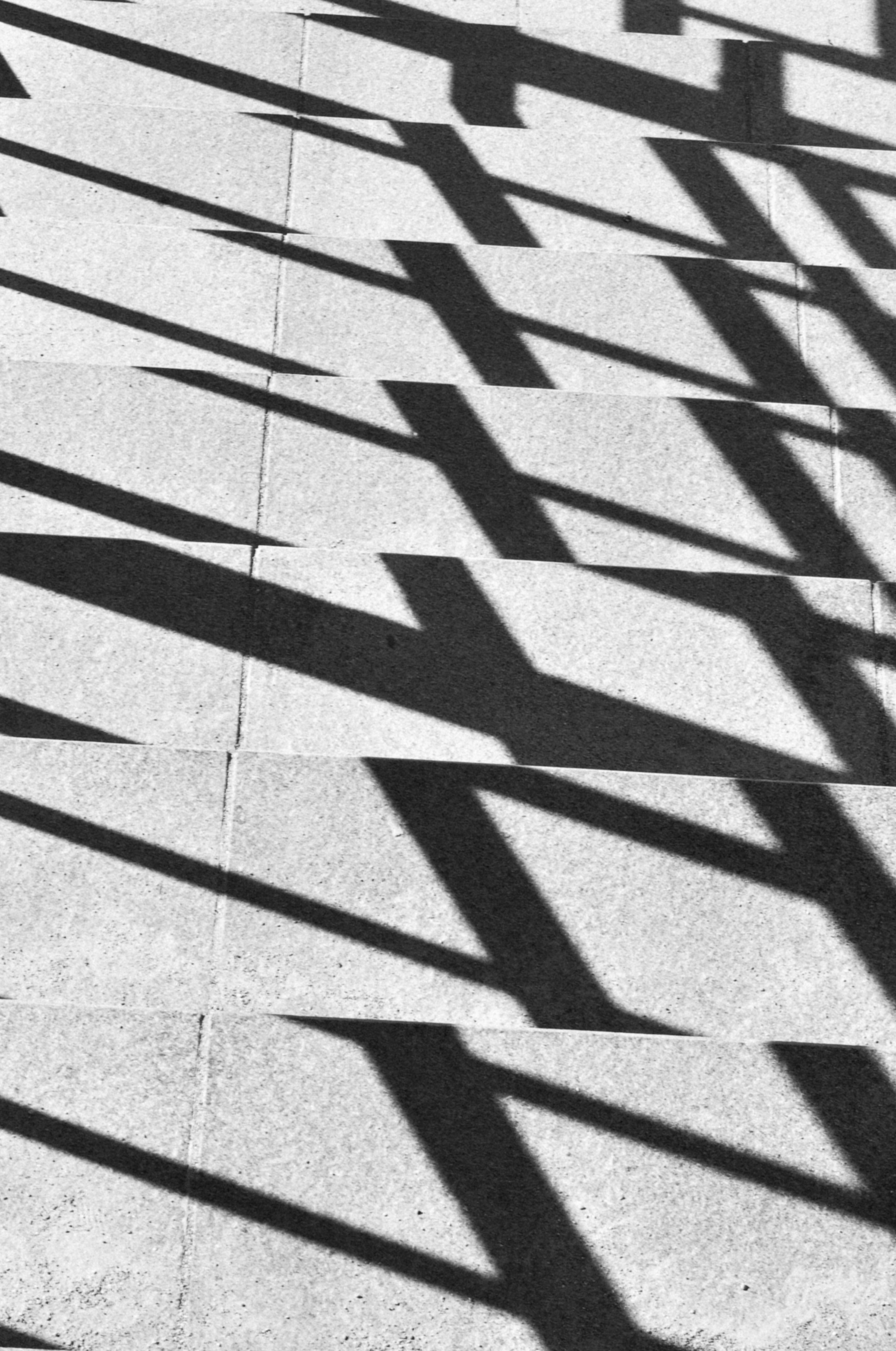 Intricate patterns of shadows cast across concrete steps, revealing a dynamic interplay of light and form.