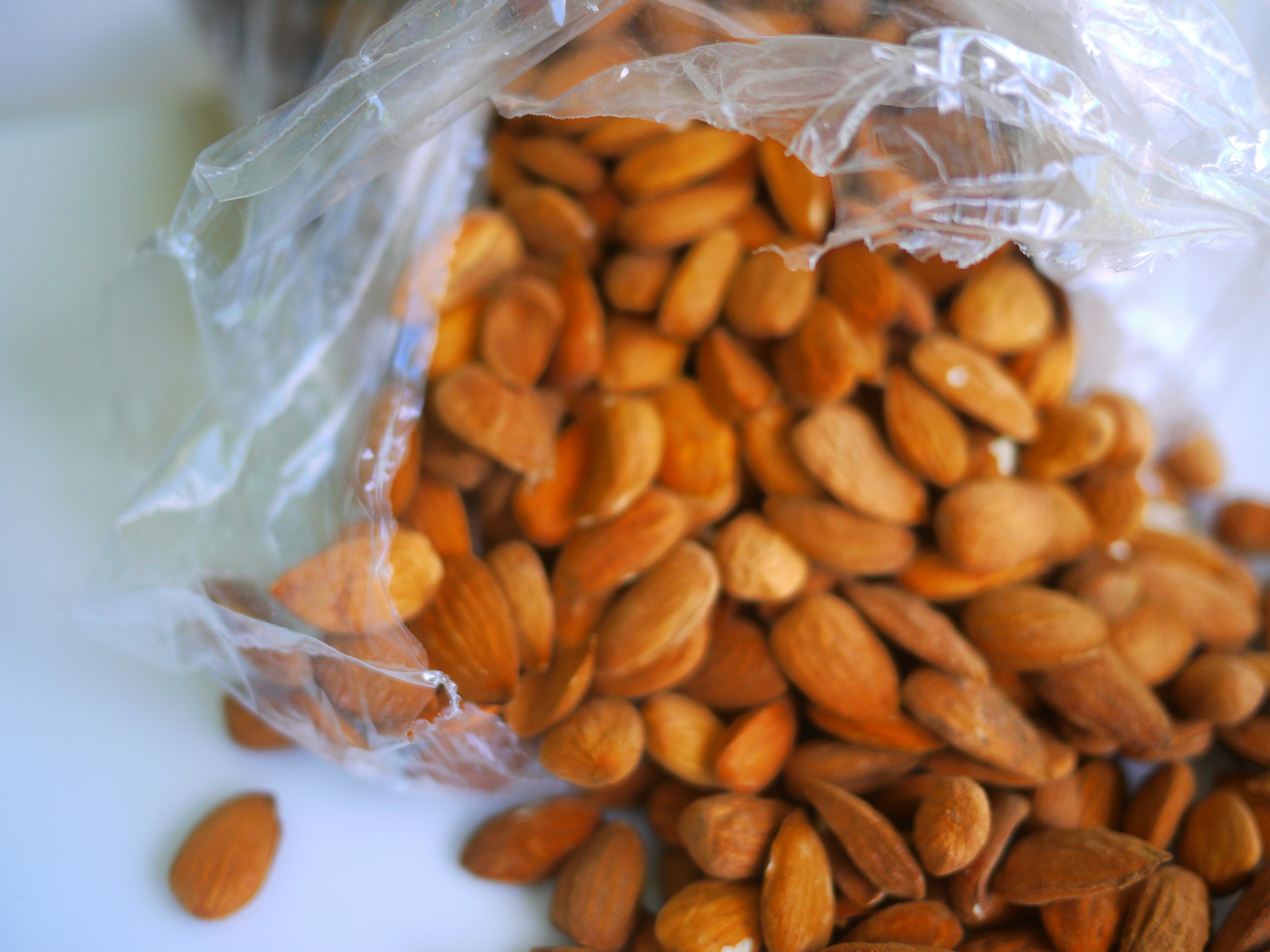 Leila Issa (@leila_myphotography) | Unsplash Photo Community