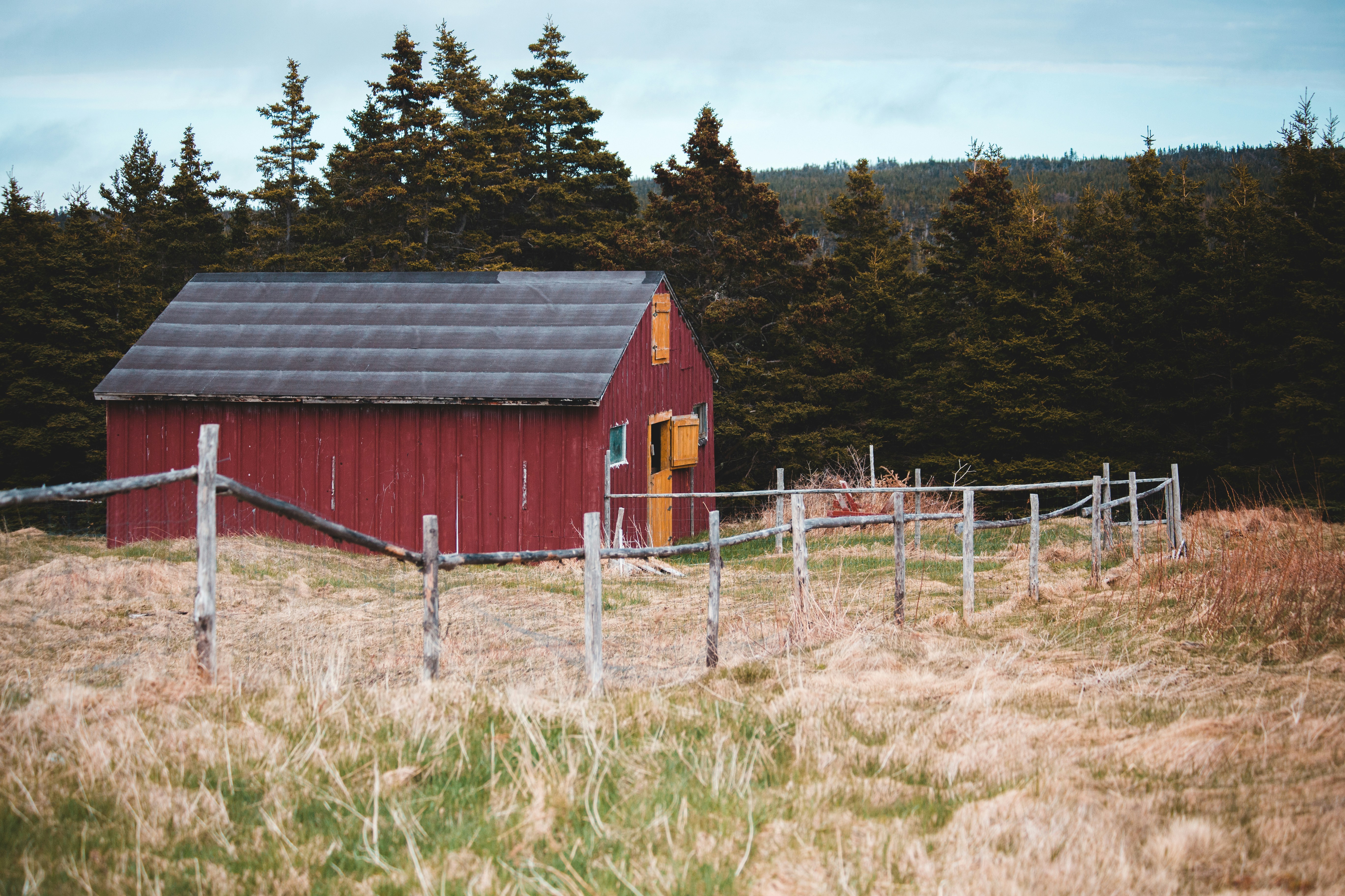 Red Barn on a Quiet Prairie, Framed by Weathered Fence and Pines