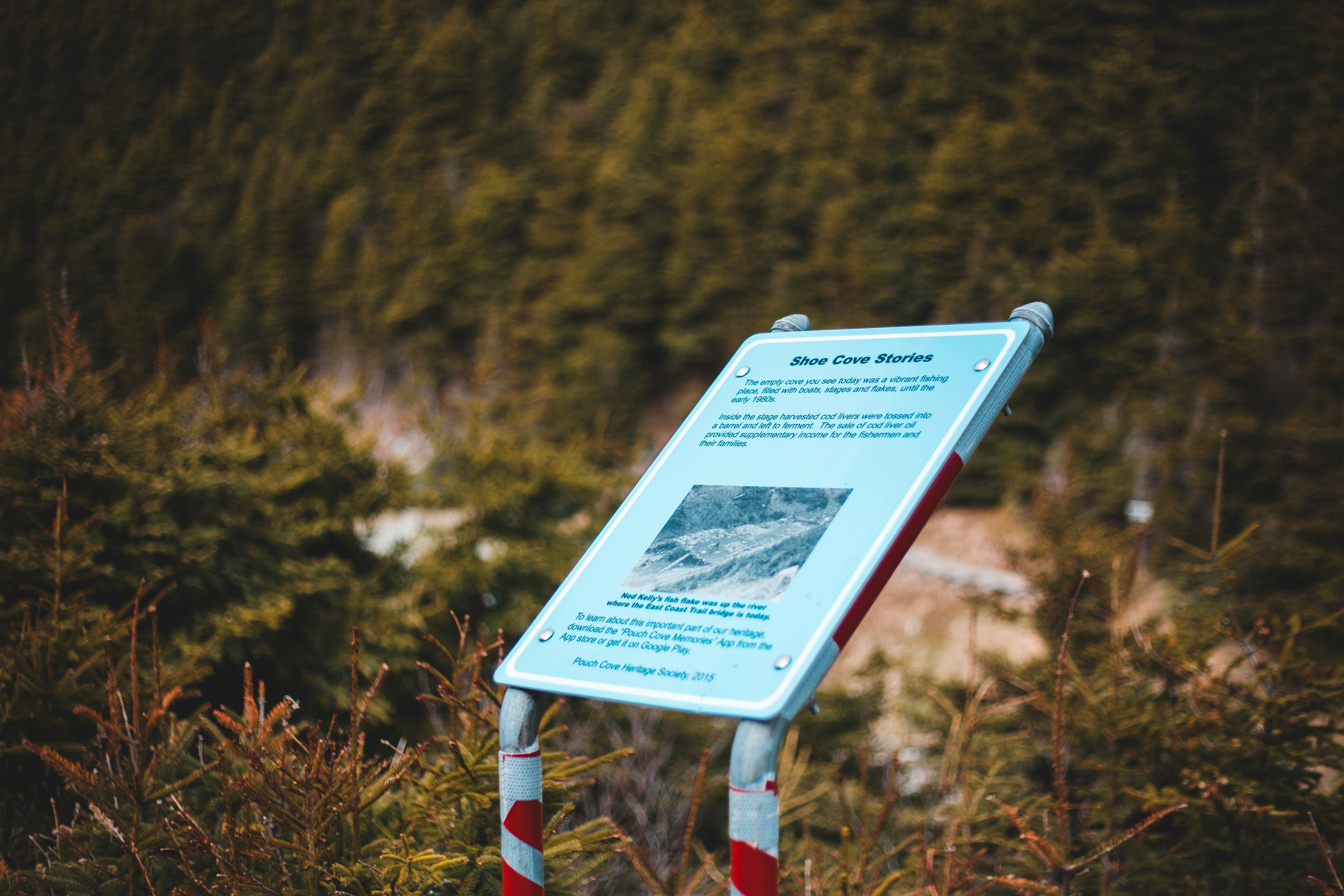 White and blue wooden signage photo – Free Blue Image on Unsplash
