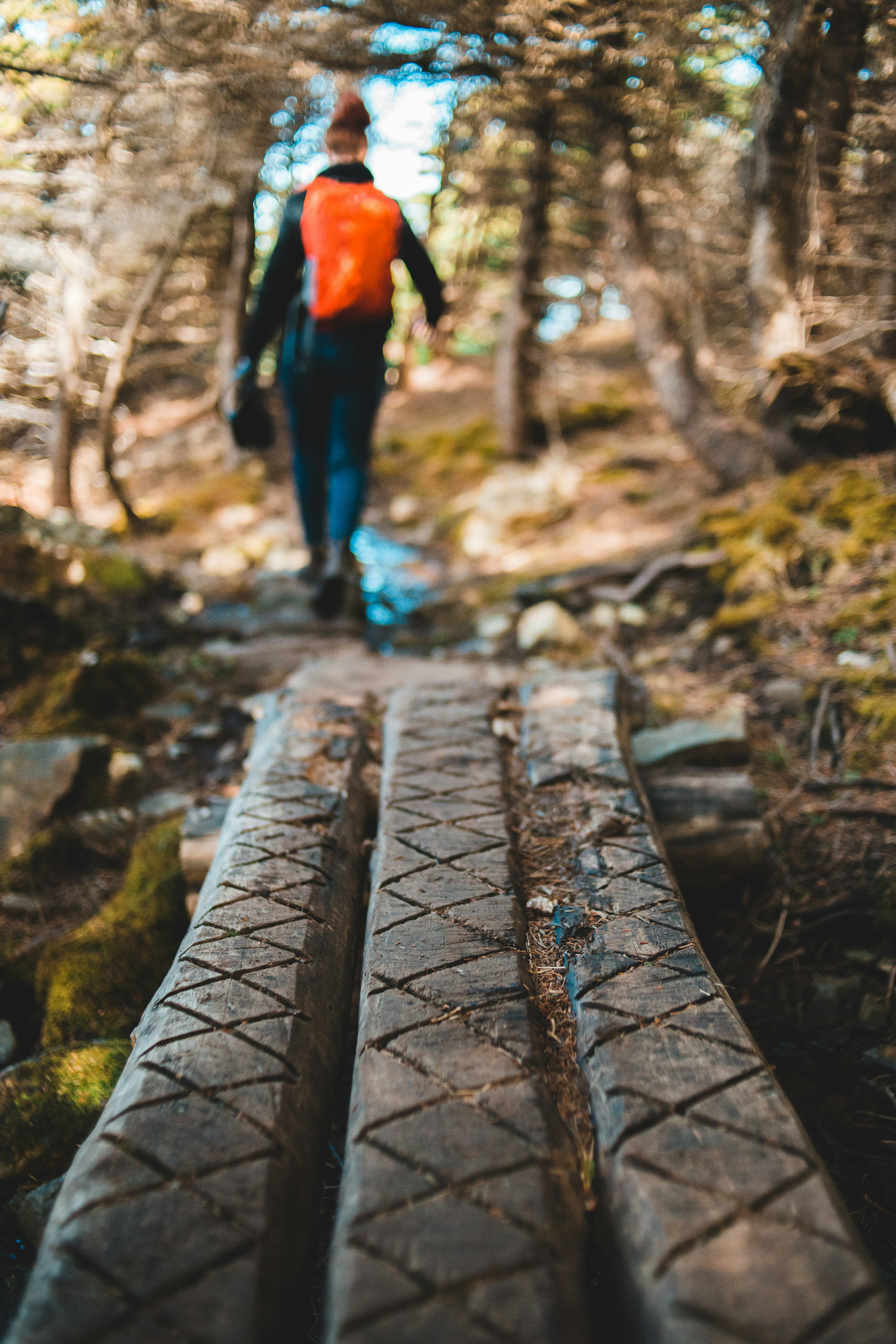 Trail Bridge to the Hiker: A Blur of Focus and Path
