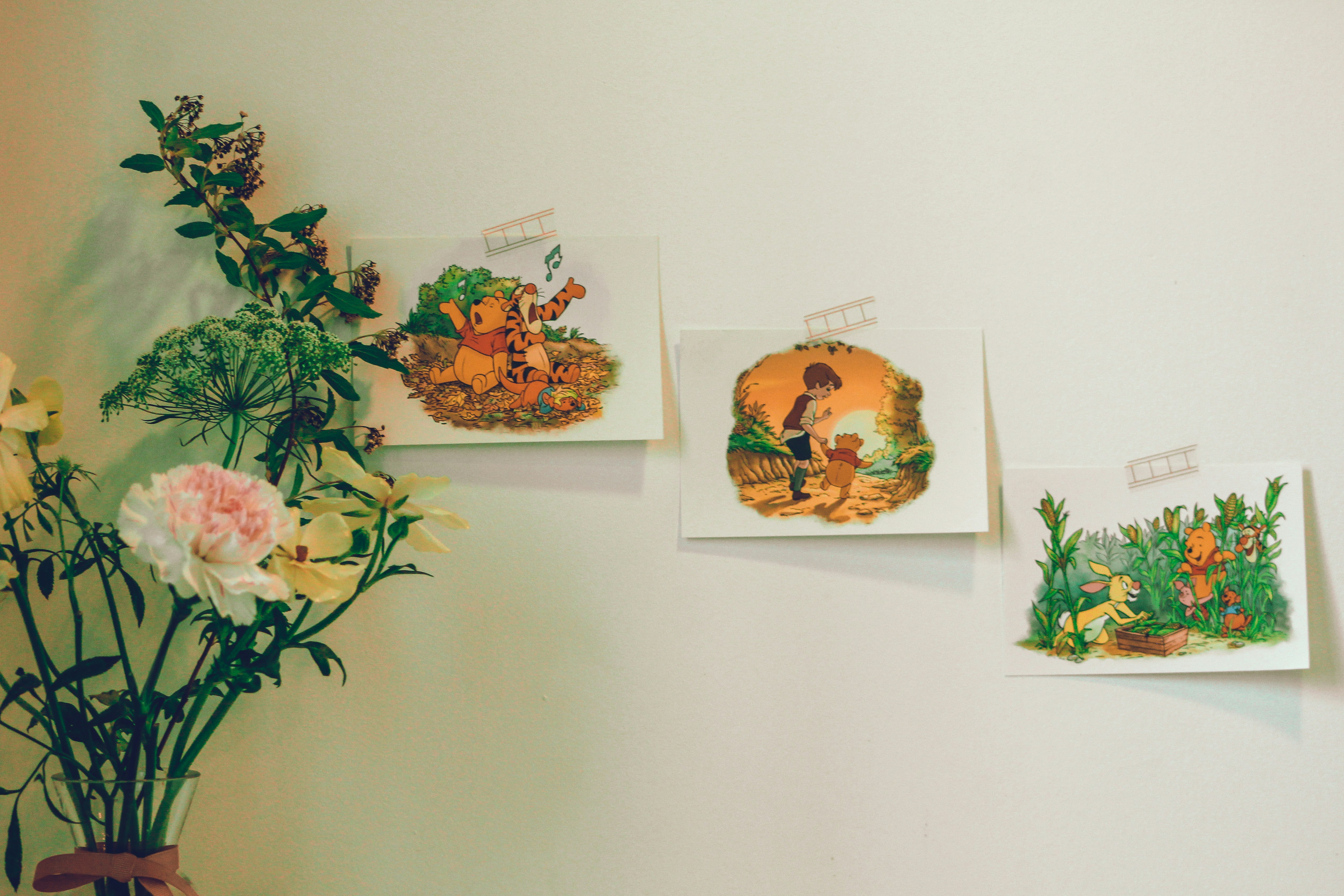 Photo by Jaeyoung Geoffrey Kang with Canon EOS 1200D