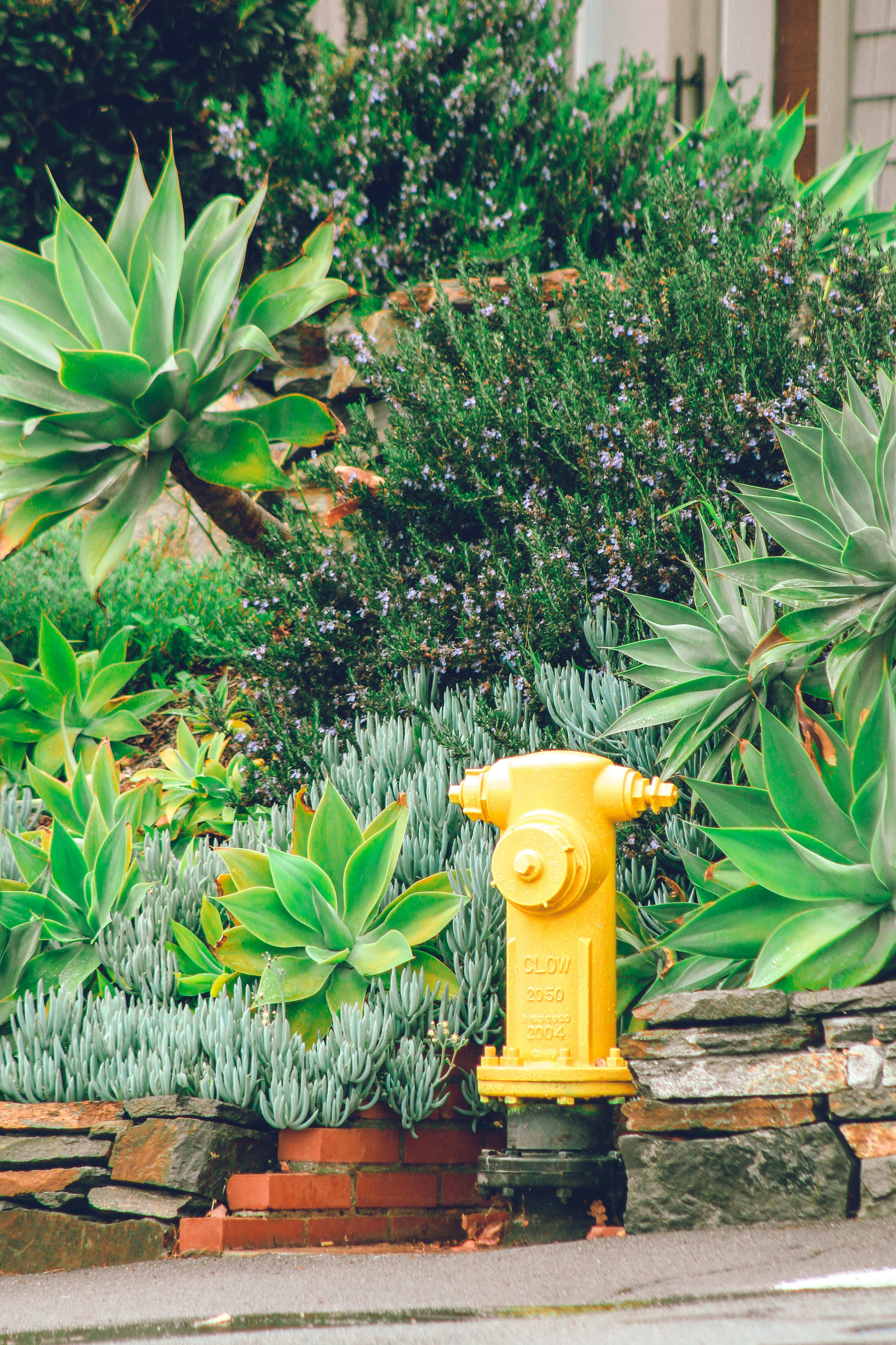 yellow fire hydrant near green plants