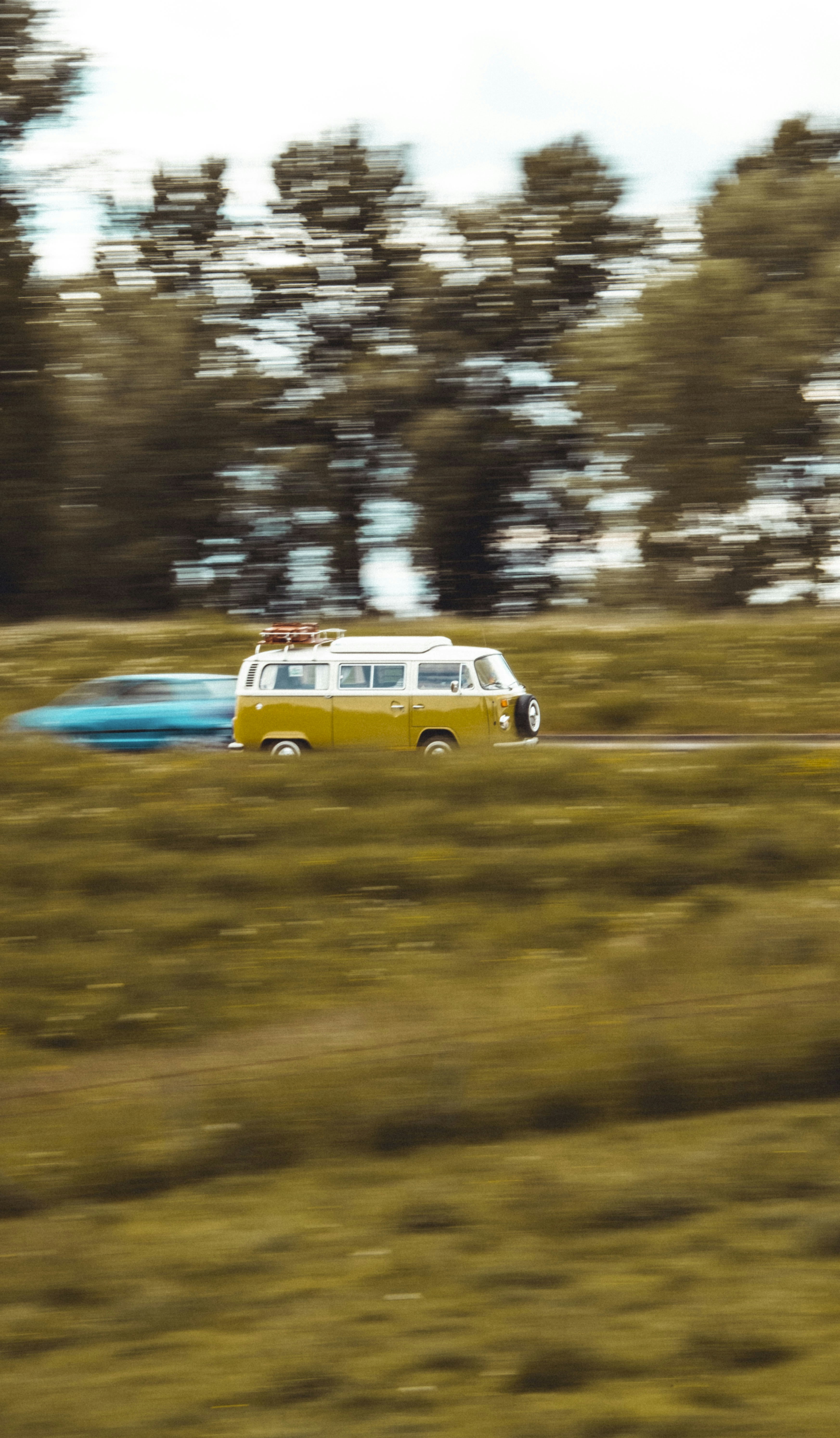 white and blue volkswagen t-1 on green grass field