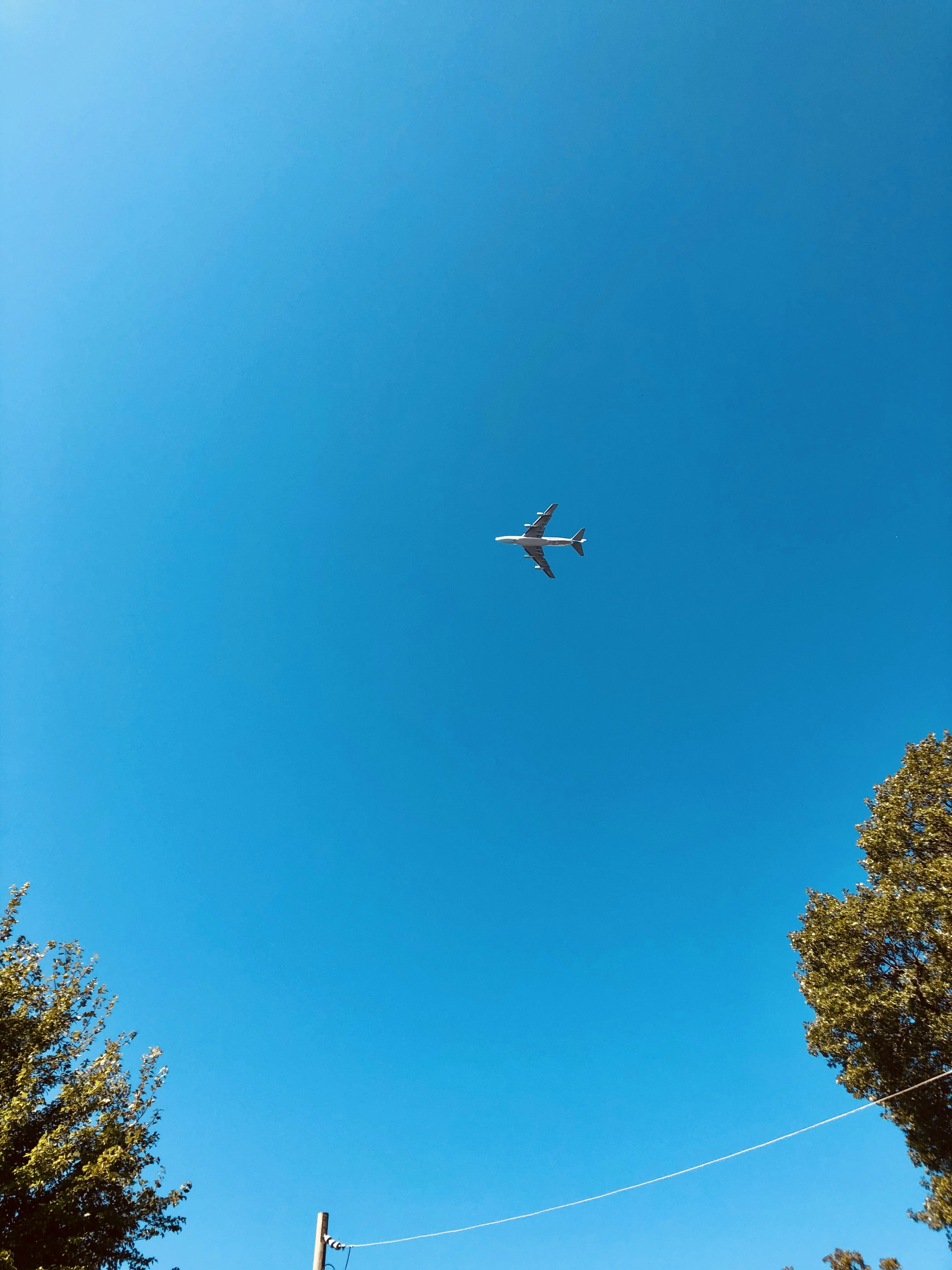 white airplane flying over green trees during daytime