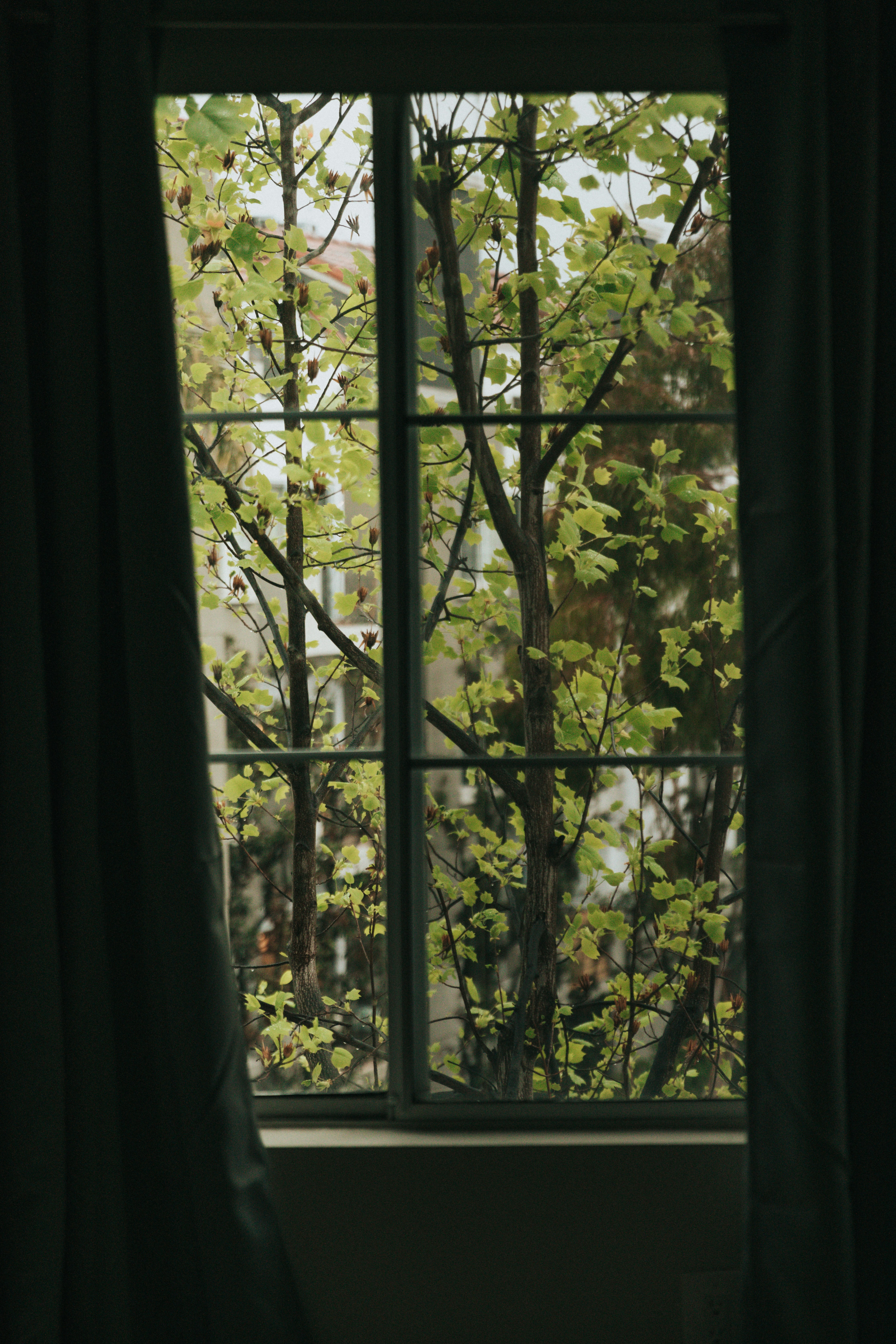 Photo by Nathan Dumlao with Canon EOS 5D Mark IV