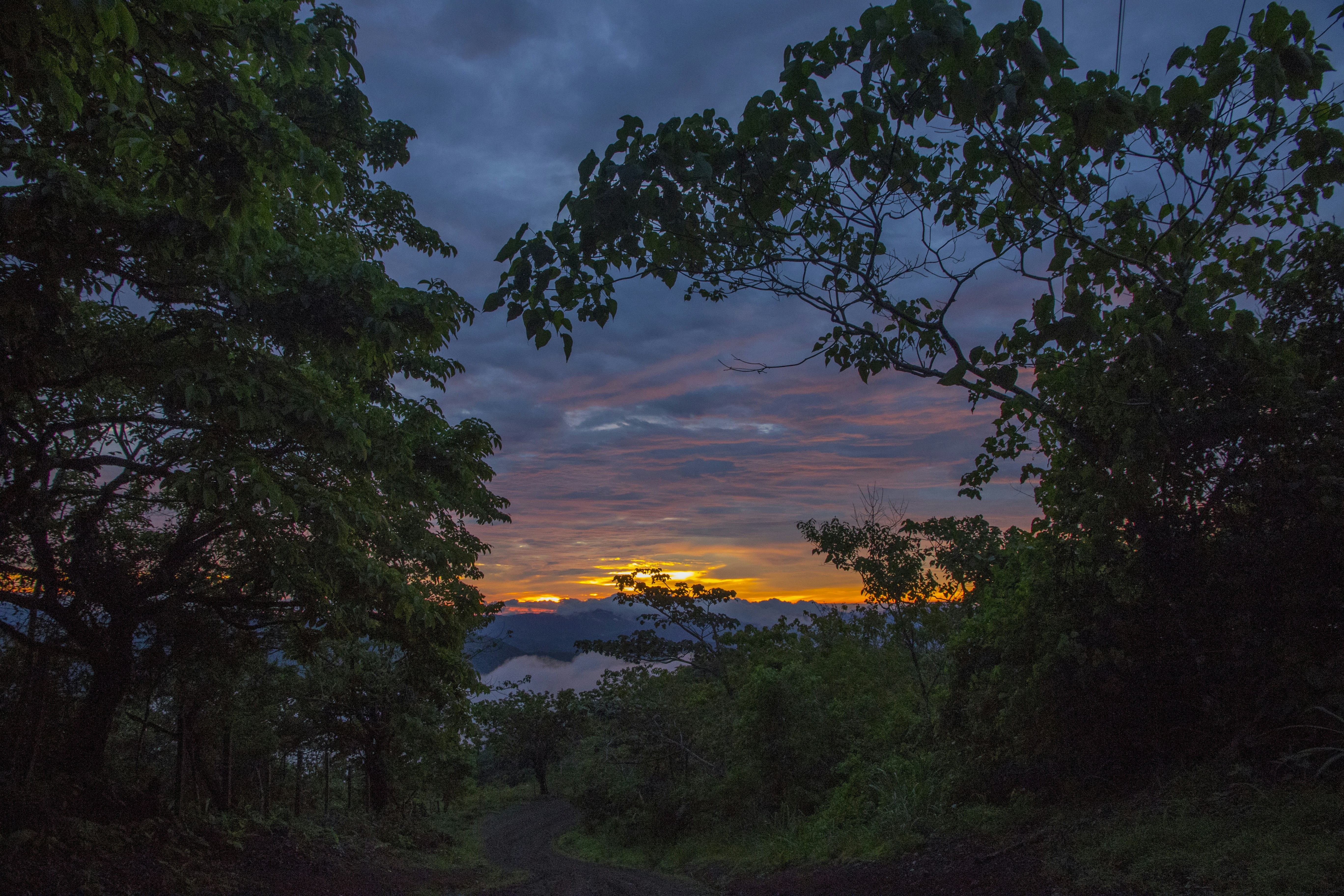 Ember Horizon Over a Forest Valley at Dusk