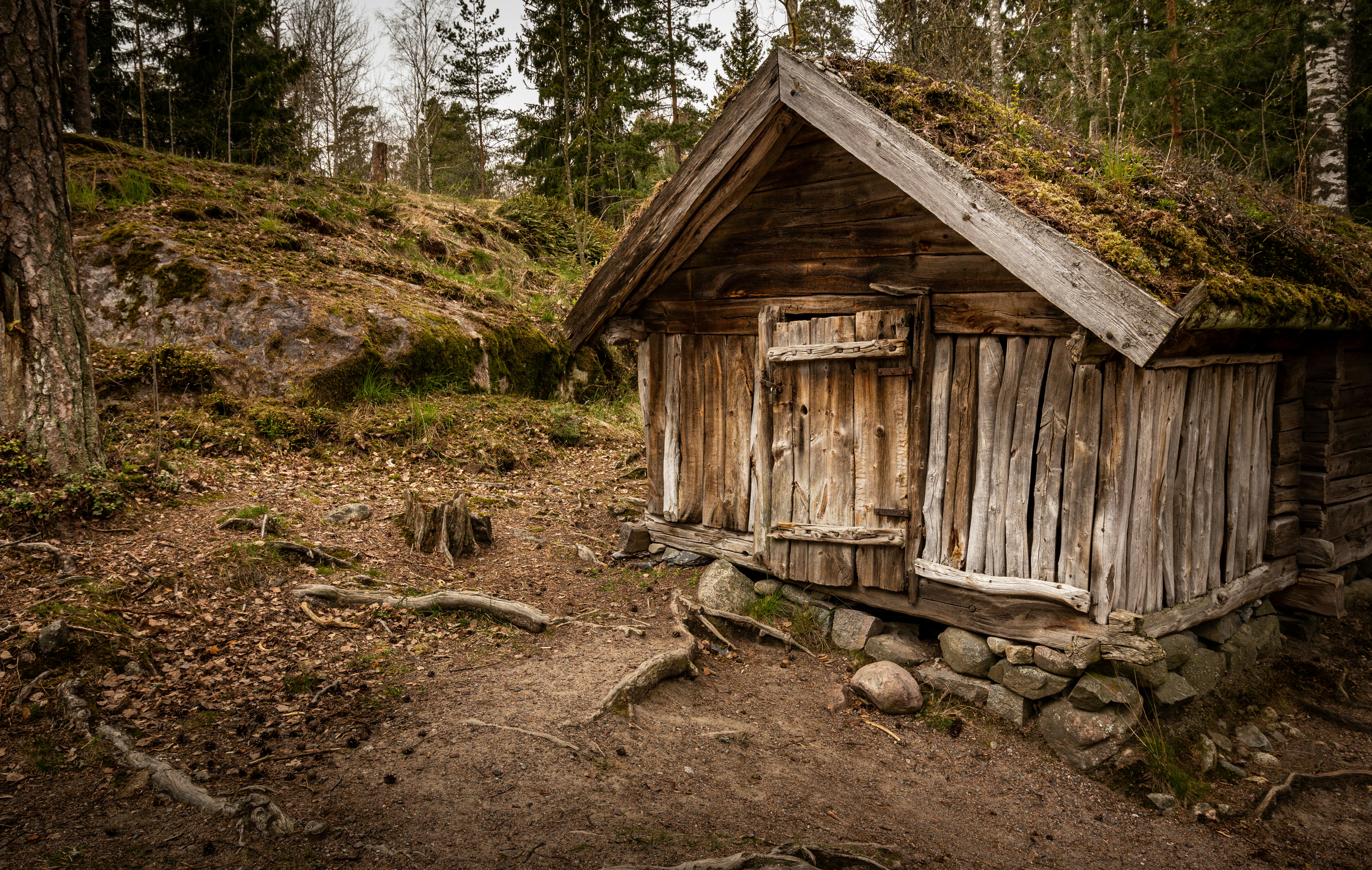 Weathered wooden cabin with a moss-covered roof nestled in a serene forest setting.