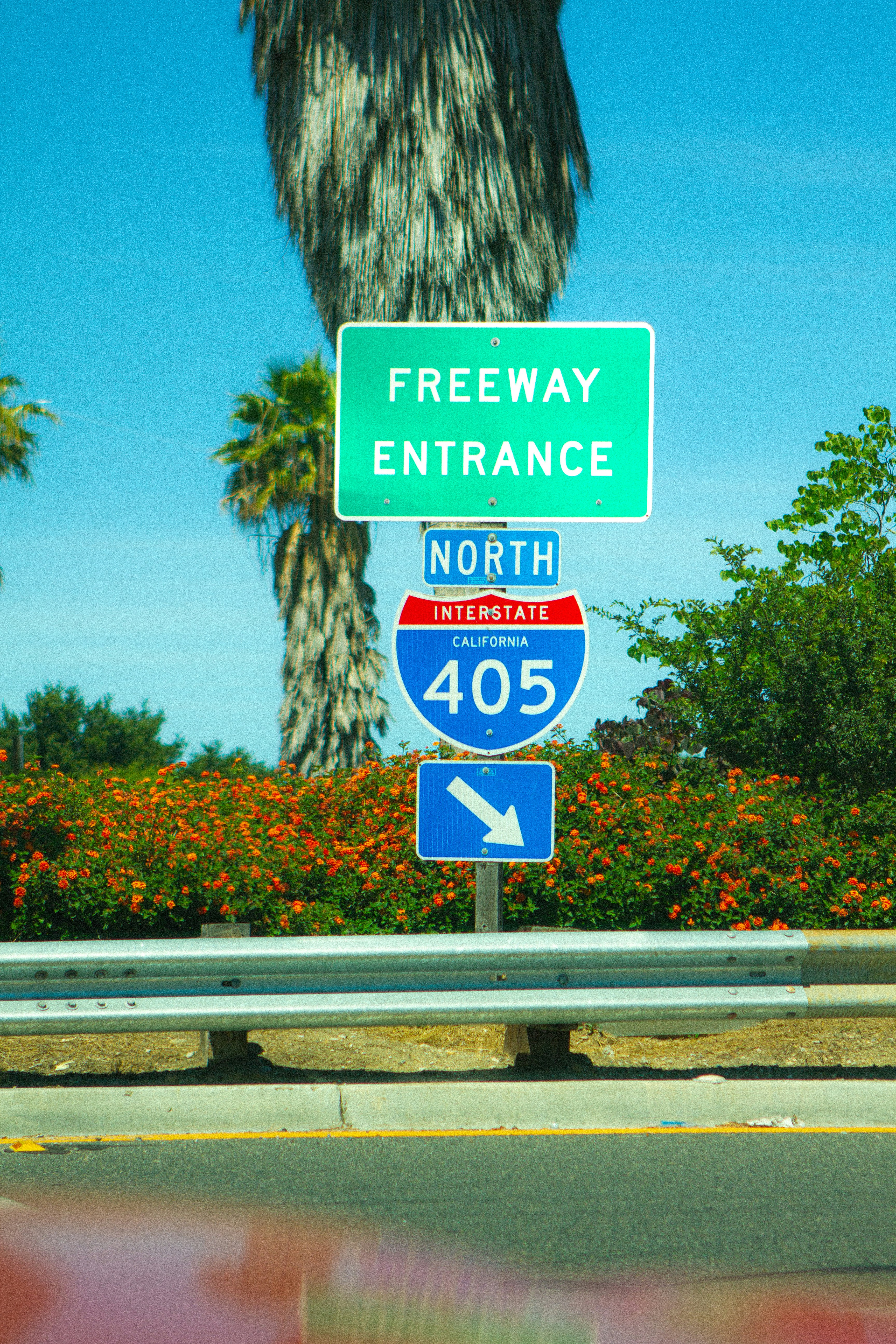 Freeway entrance sign for Interstate 405 North, framed by vibrant foliage and palm trees.