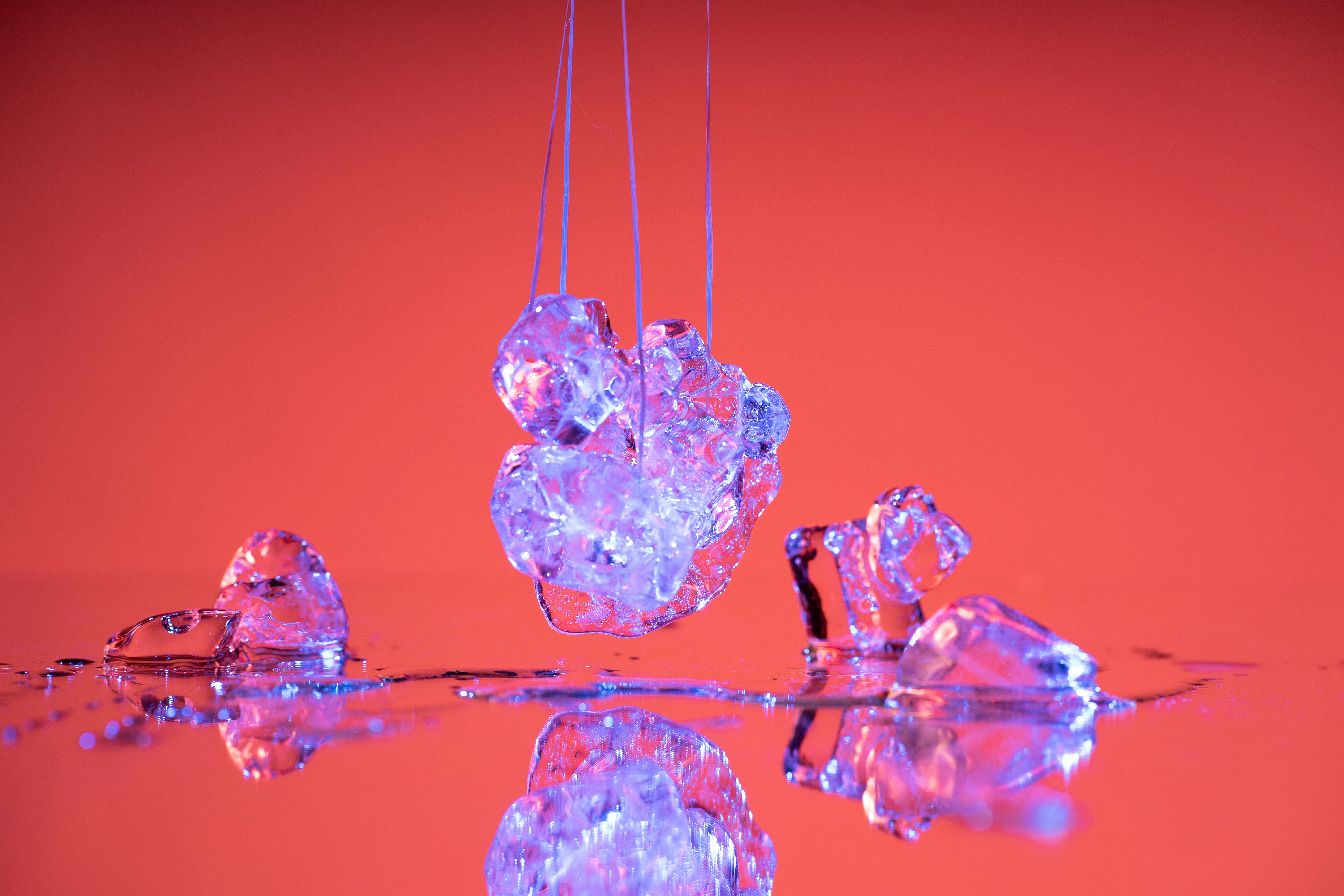 Crystalline Harbingers: Ice Blossoms Suspended Over a Liquid Mirror