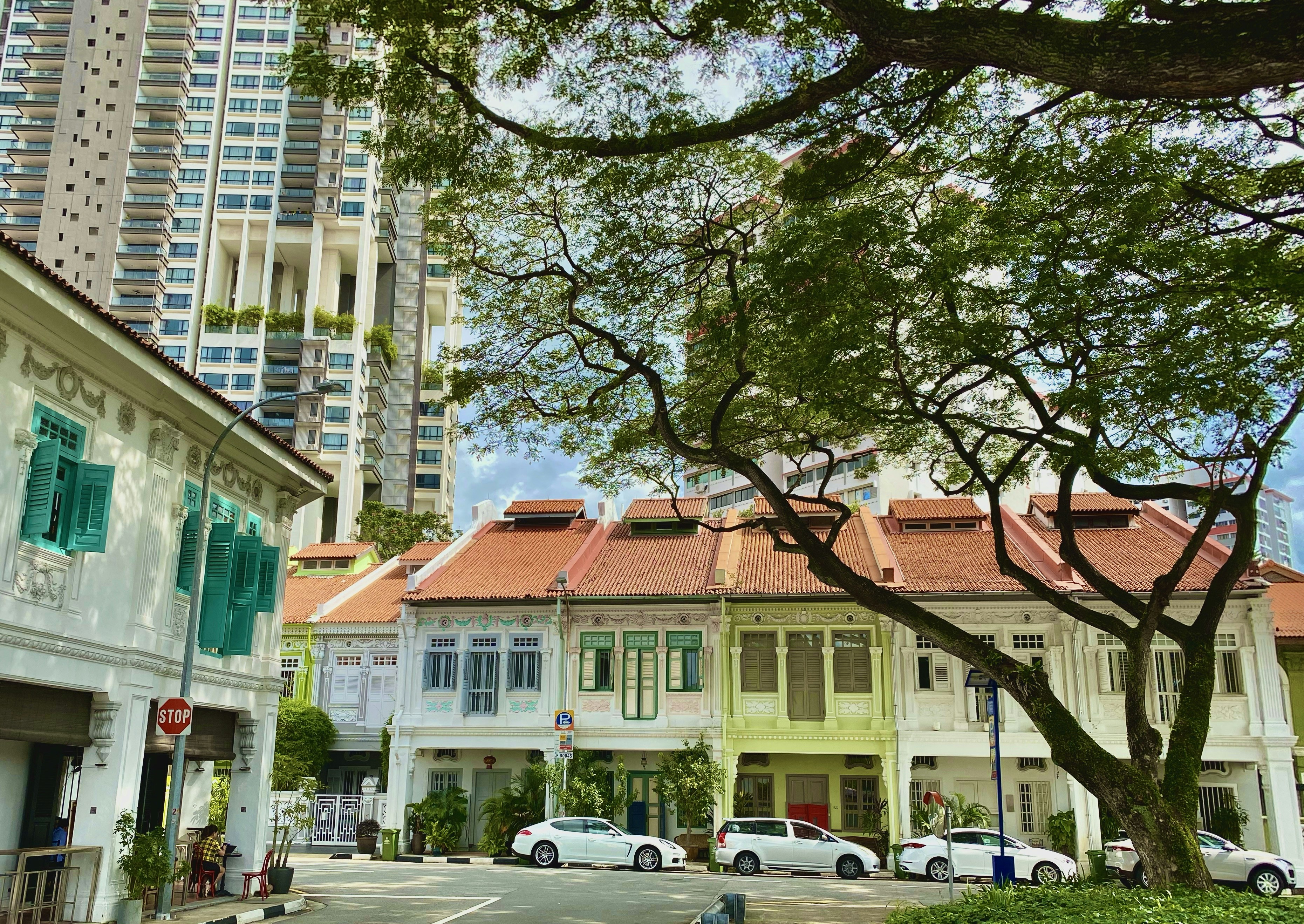 Charming row of colorful shophouses under a large tree, juxtaposed with a towering modern skyscraper in the background.