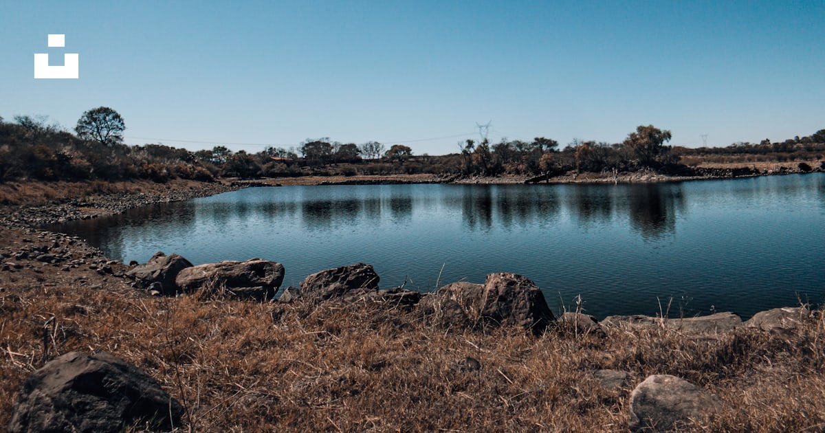 Brown Grass Near Body Of Water During Daytime Photo Free Blue Image On Unsplash