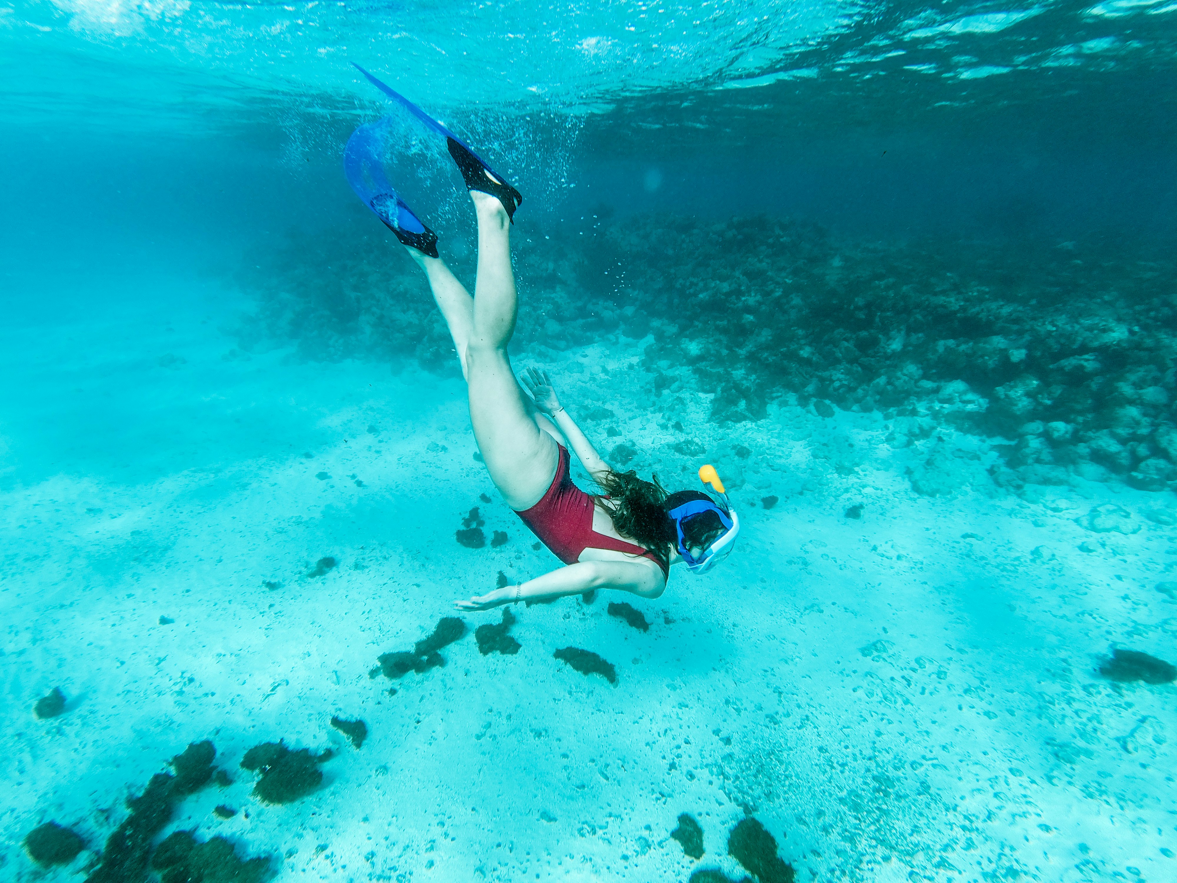 Snorkeler gracefully gliding through crystal-clear waters, surrounded by a vibrant underwater landscape.