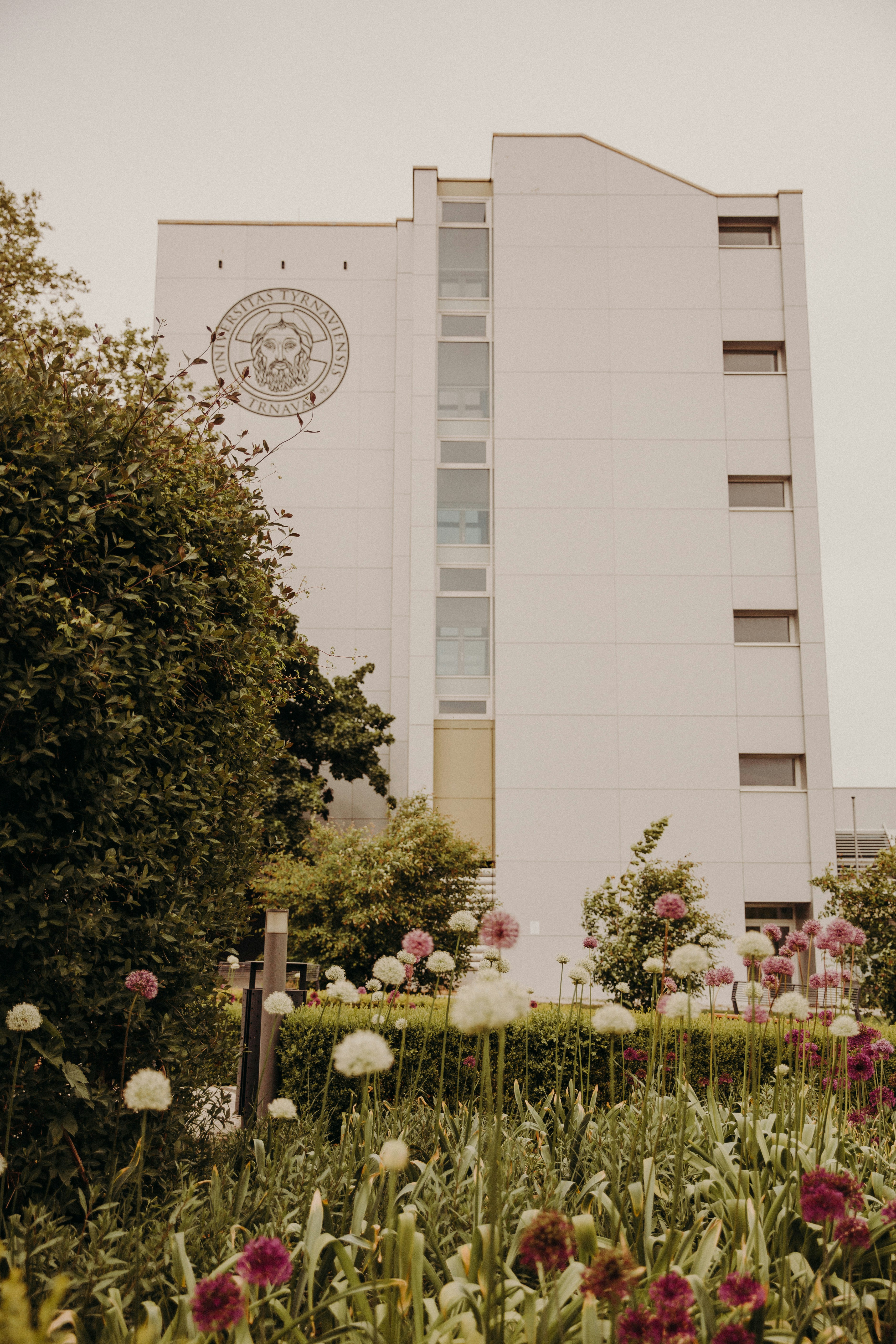 Crest Amid Dahlias: A Quiet Campus Facade in Sepia Light