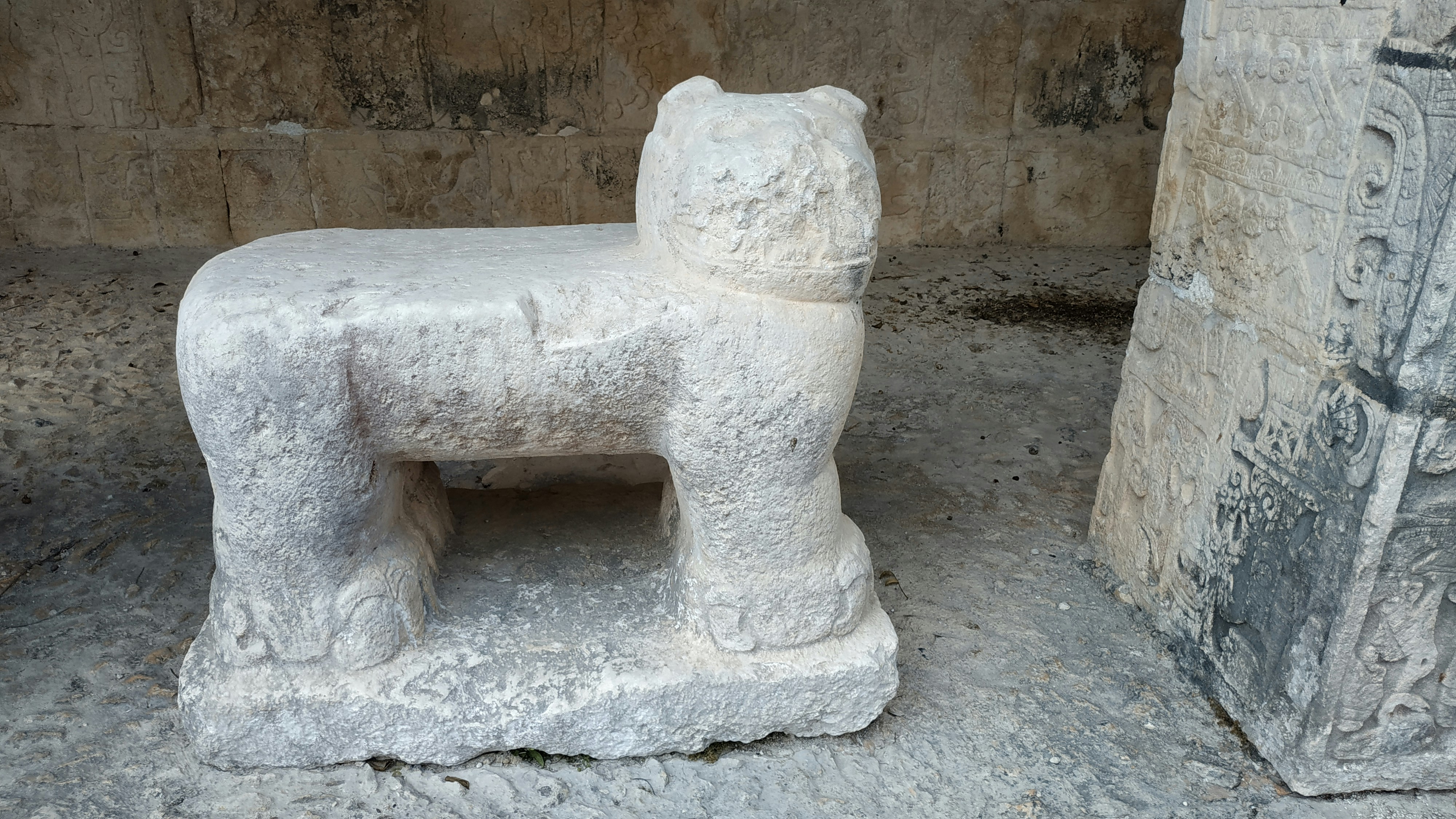 Silent Sentinel of the Mayan Ruins