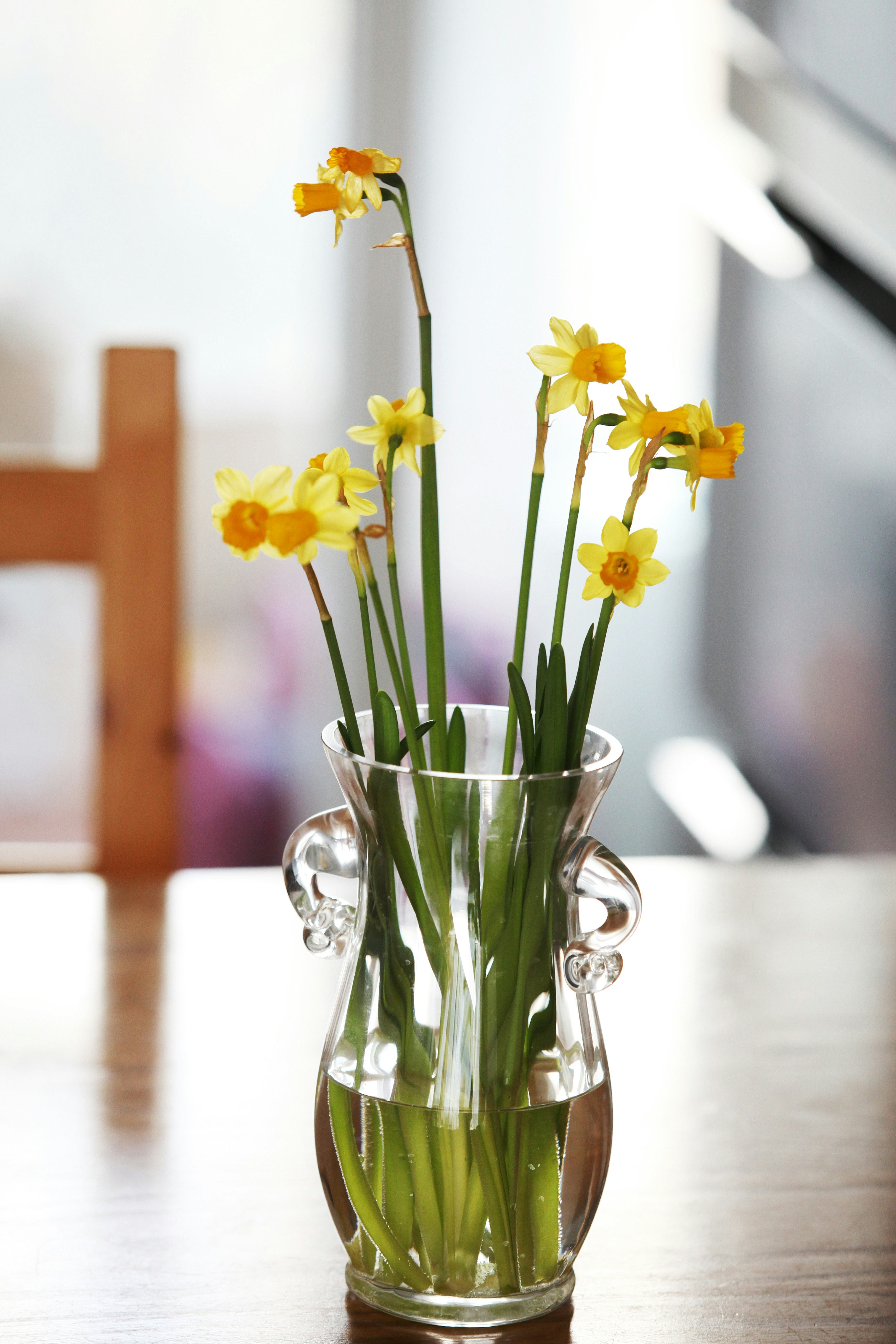 Flower photo shot on Canon EOS 5D Mark II