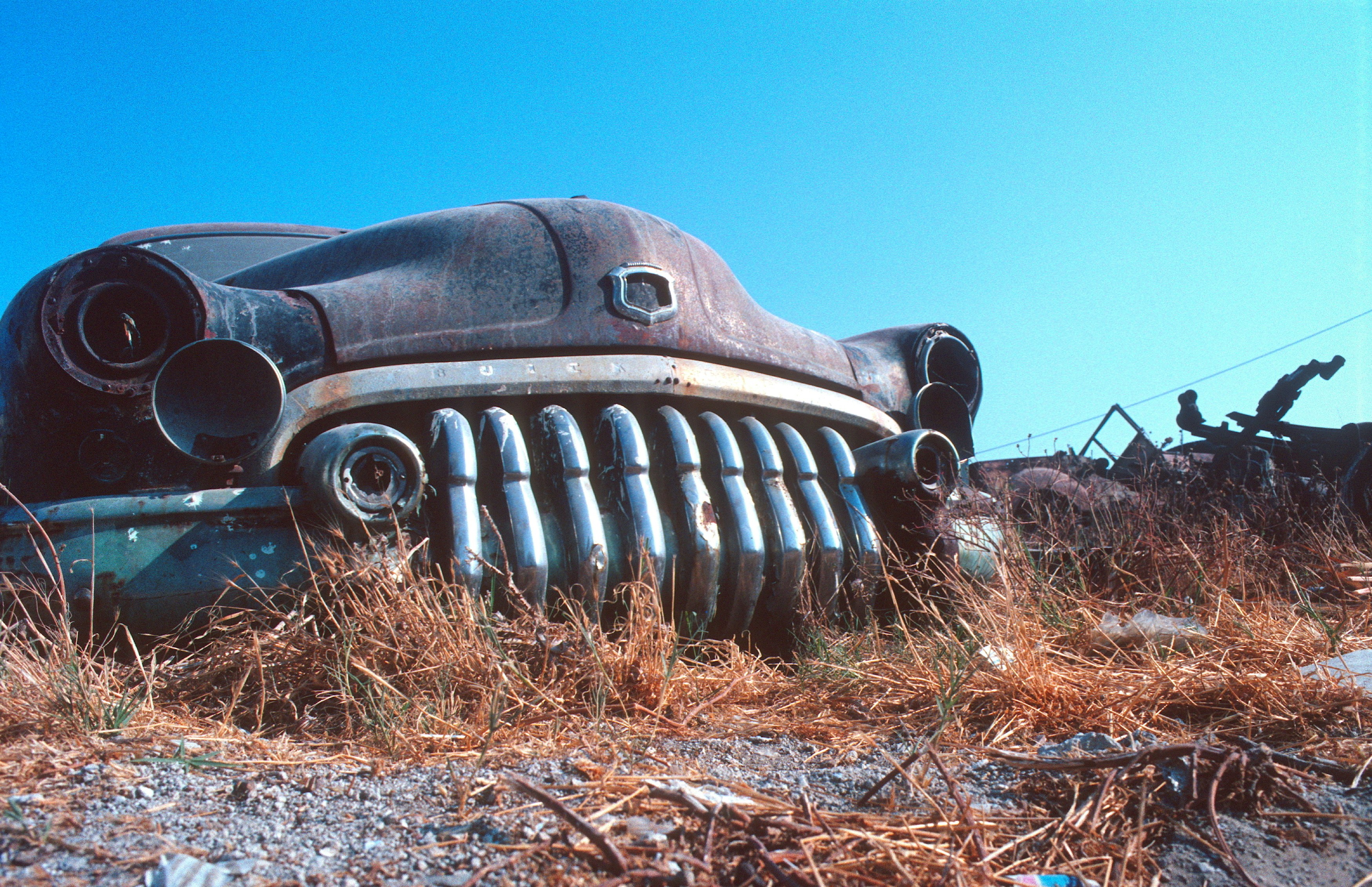 Rusty vintage car nestled in overgrown grass under a clear blue sky.
