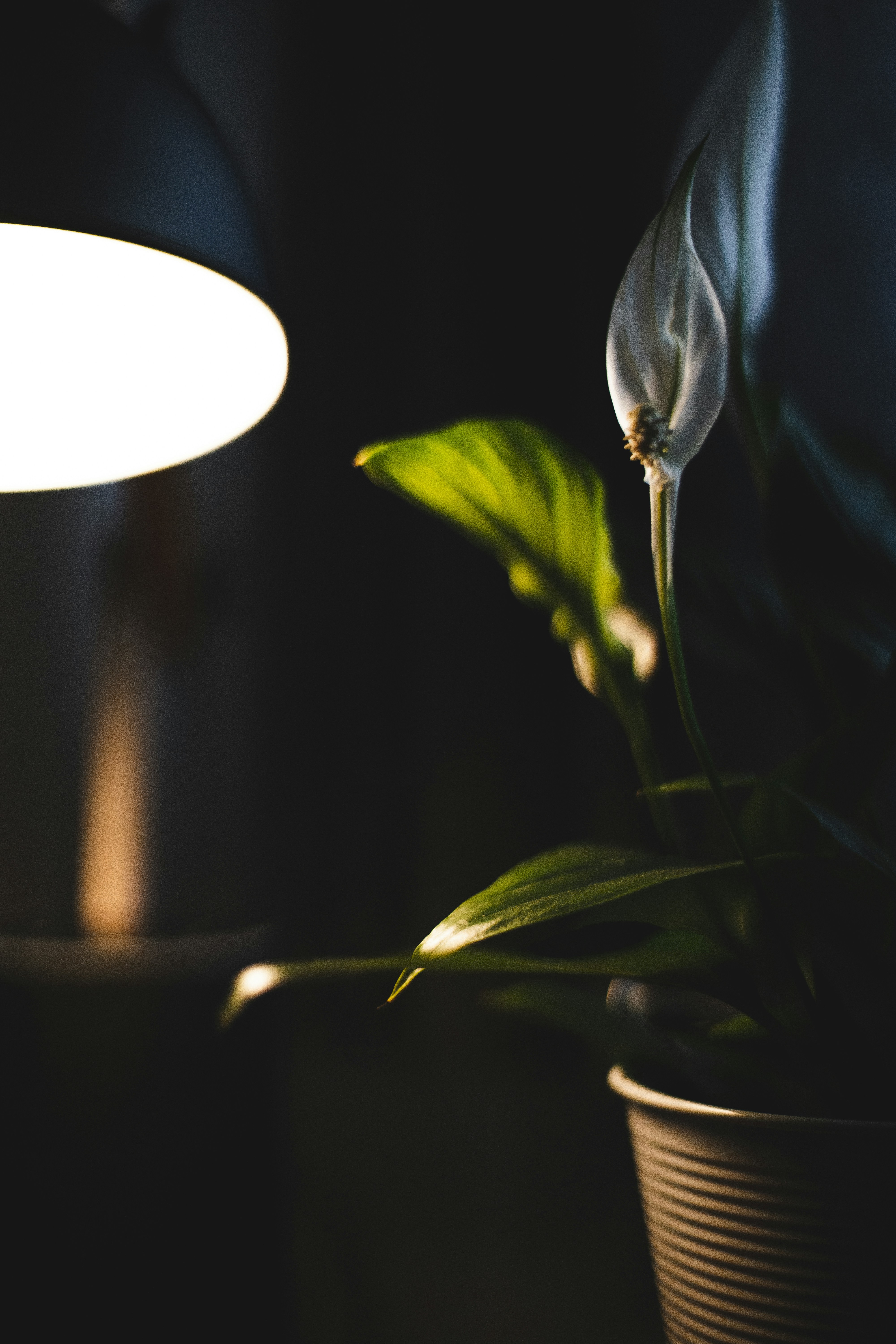 Jack Stapleton (@jpsmedia) | Unsplash Photo Community