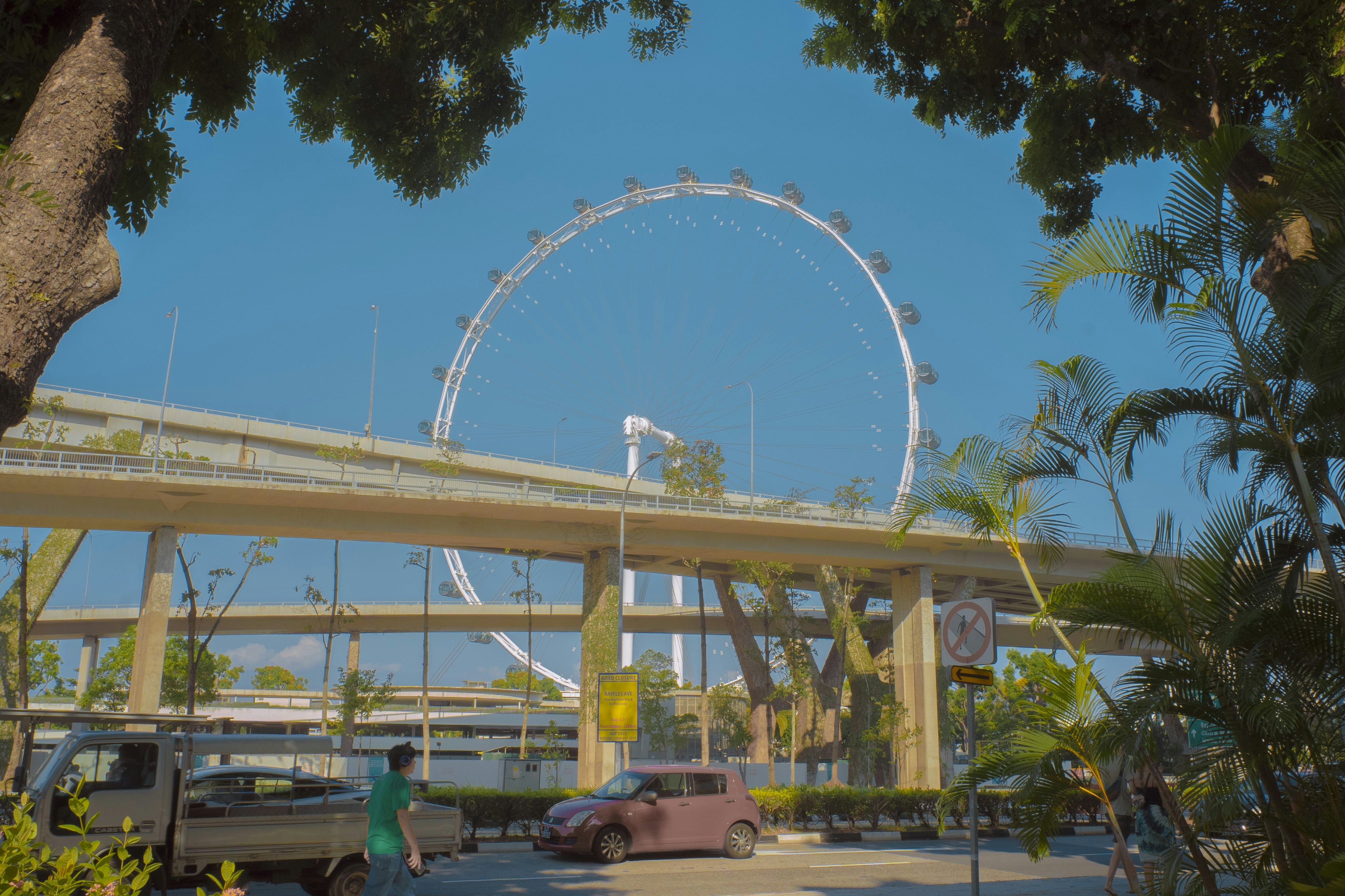 Ferris Wheel Framing an Urban Arc Over a Palm-Shaded Freeway