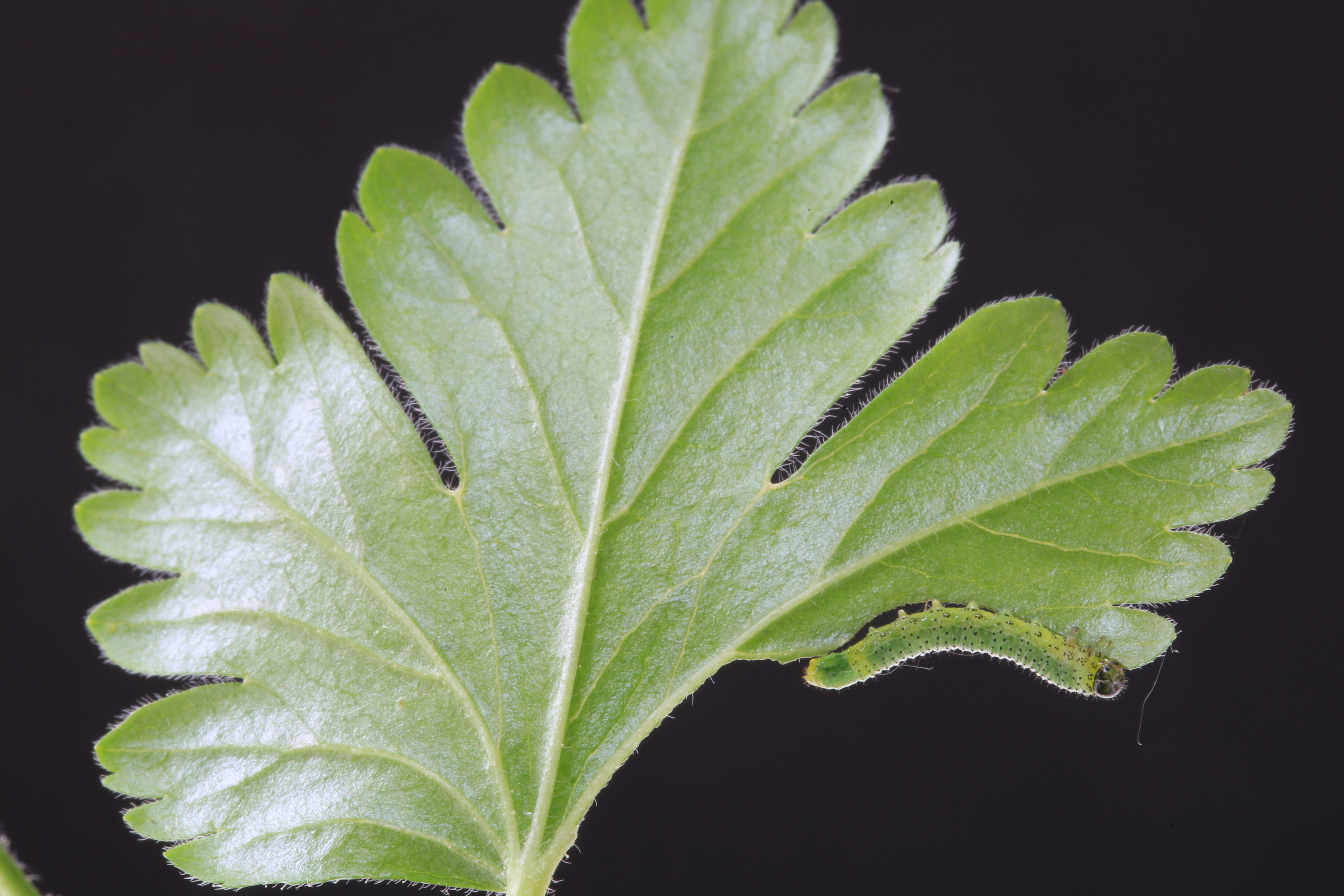 Rob Pumphrey (@robpumphrey) | Unsplash Photo Community