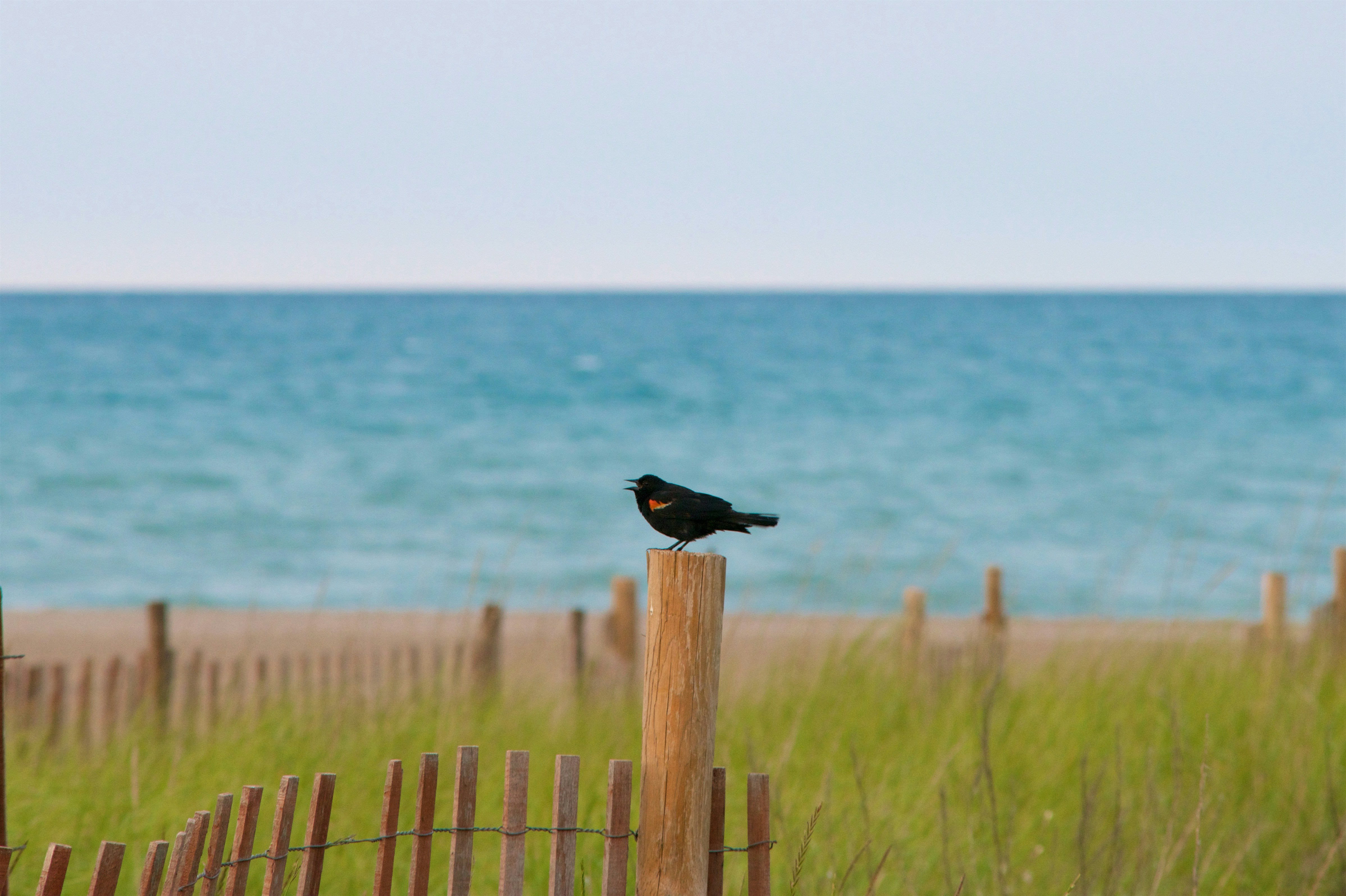 Manitowoc, WI