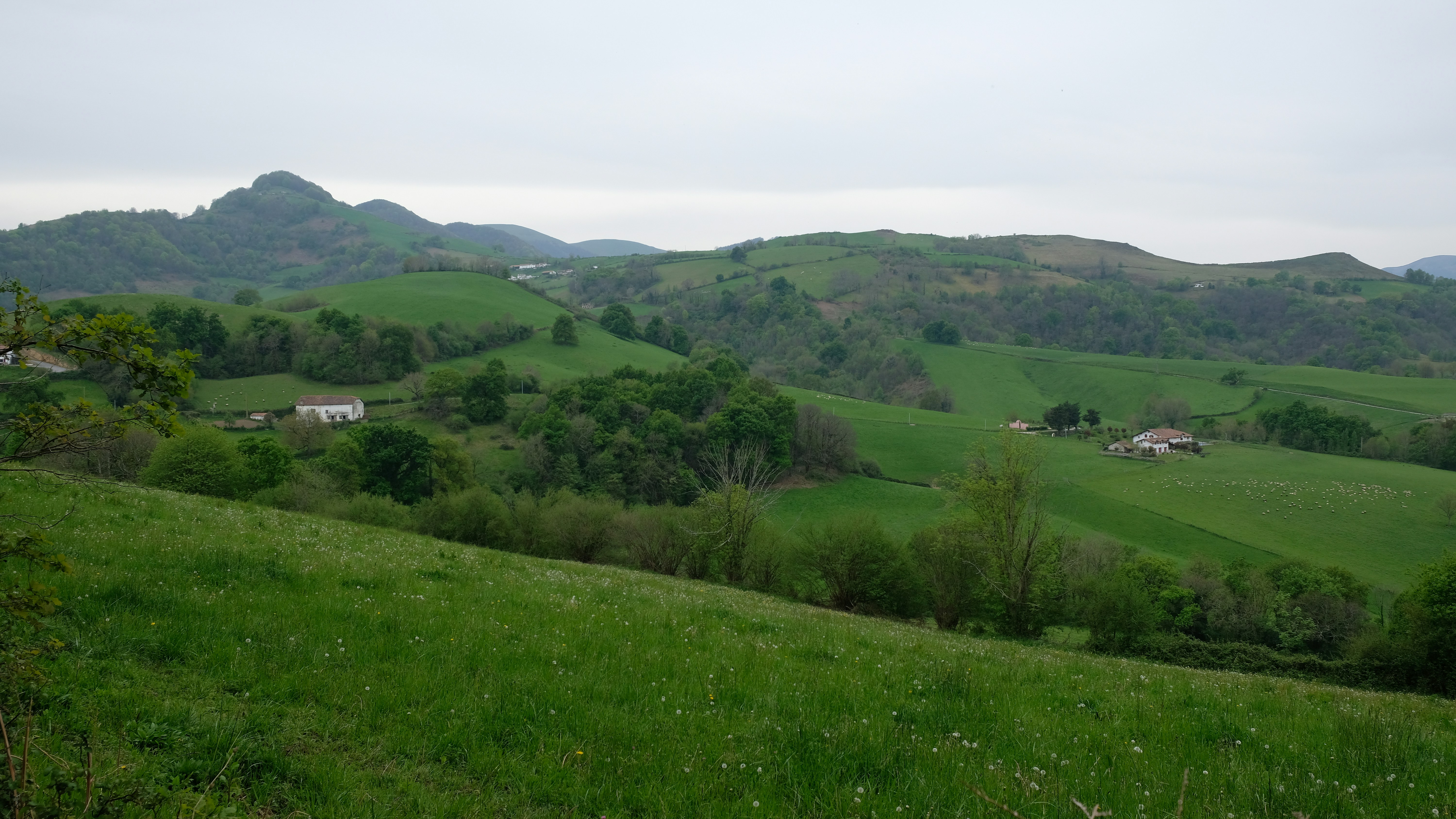 Patchwork Valleys: Distant Farmhouses Amid Green Hills