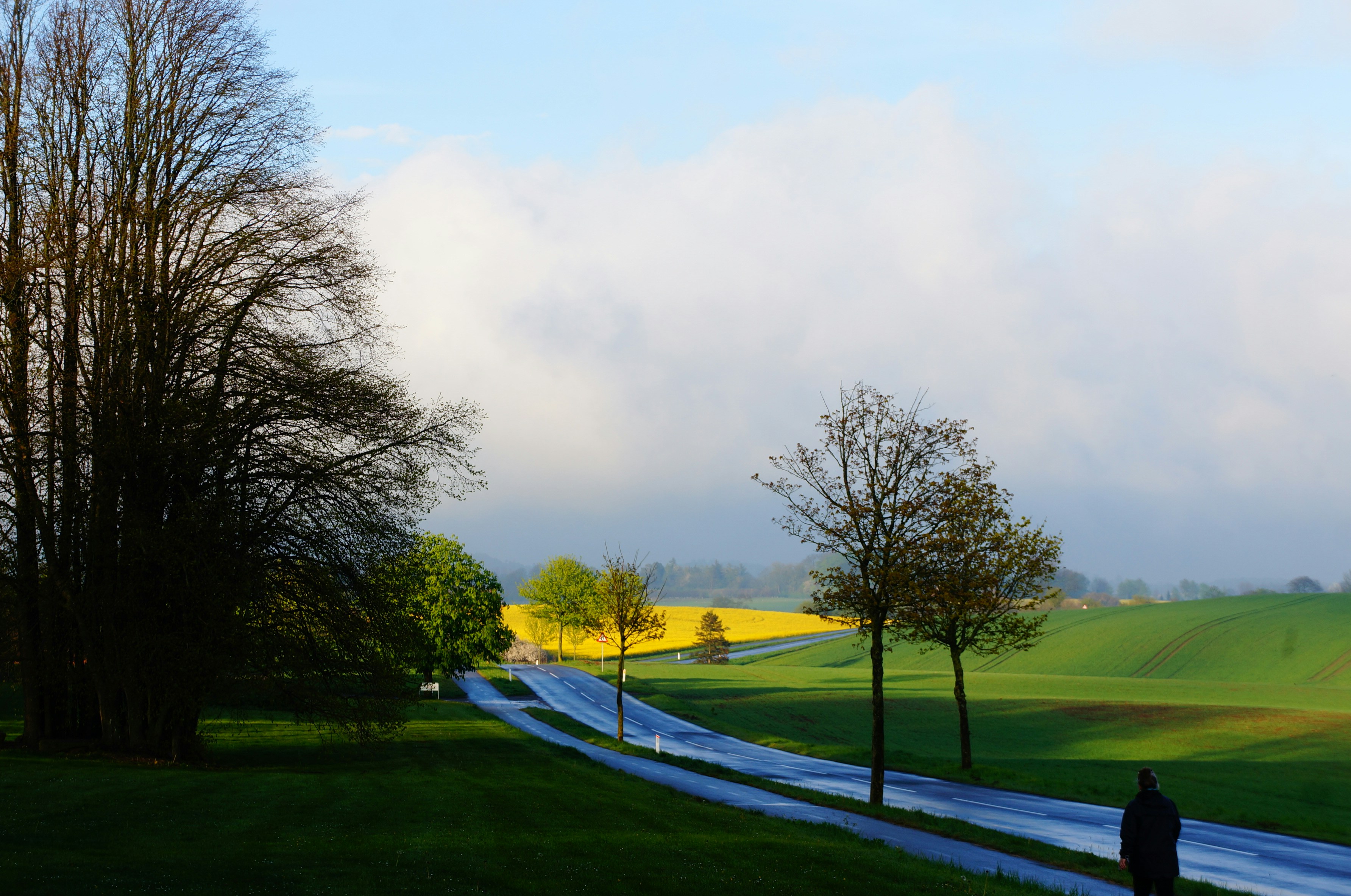 Winding Road Through Dawn Mist: A Lone Figure Amid Rolling Fields