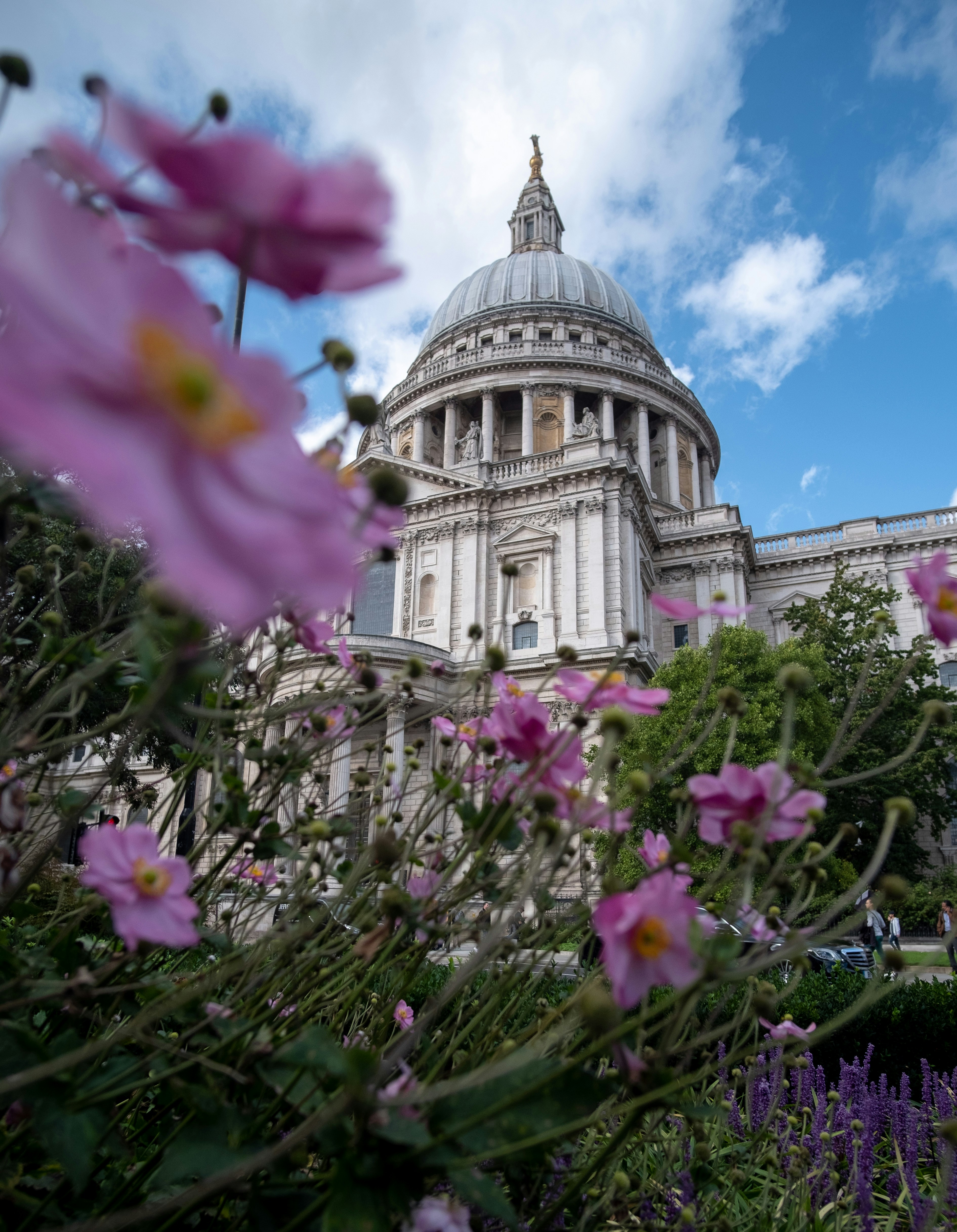 Stately Dome through a Sea of Pink Petals