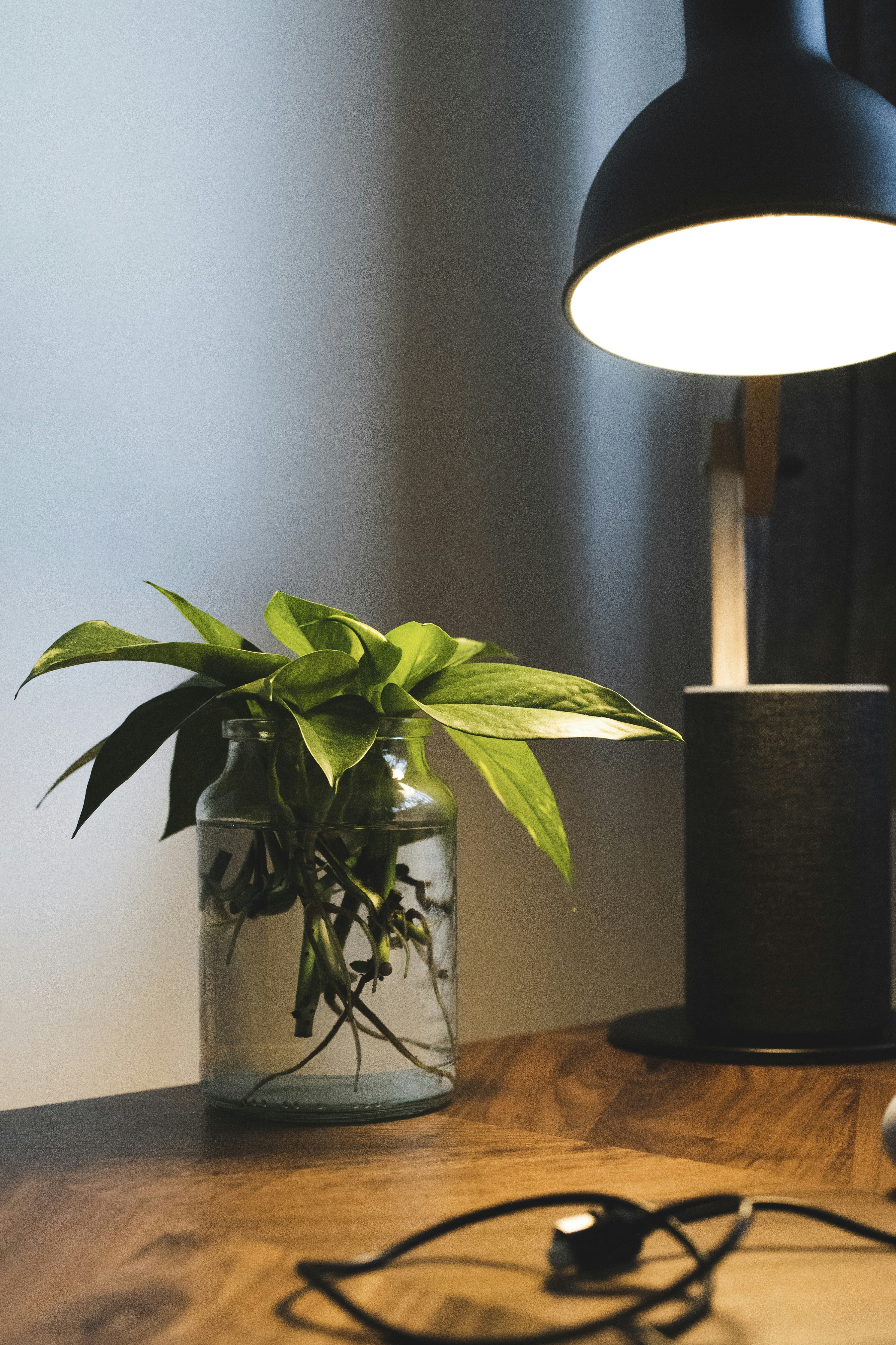 Jack Stapleton (@jpsmedia) | Unsplash Photo Community