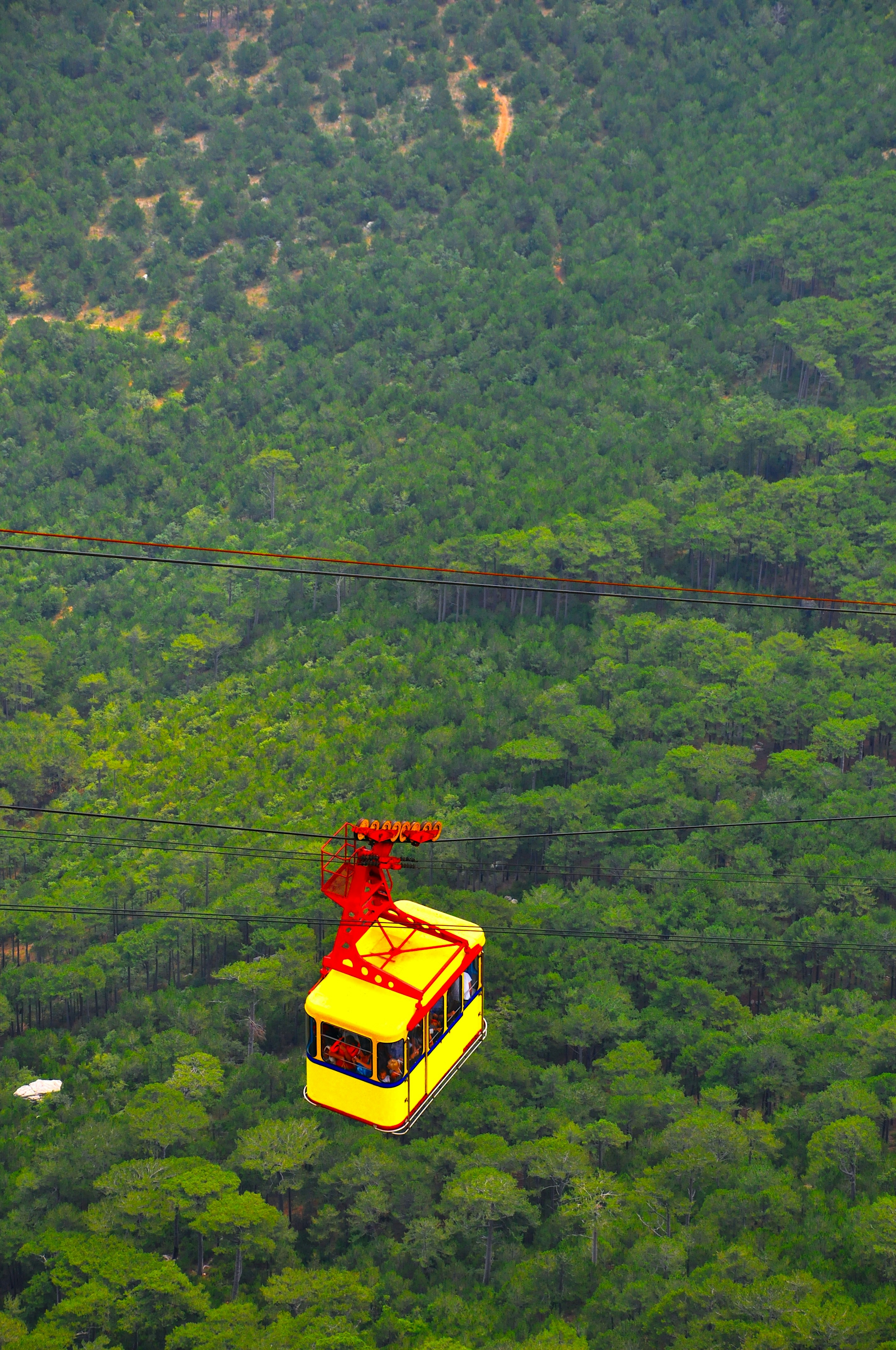 A vibrant cable car glides over a lush green forest, showcasing the beauty of nature from an elevated perspective.