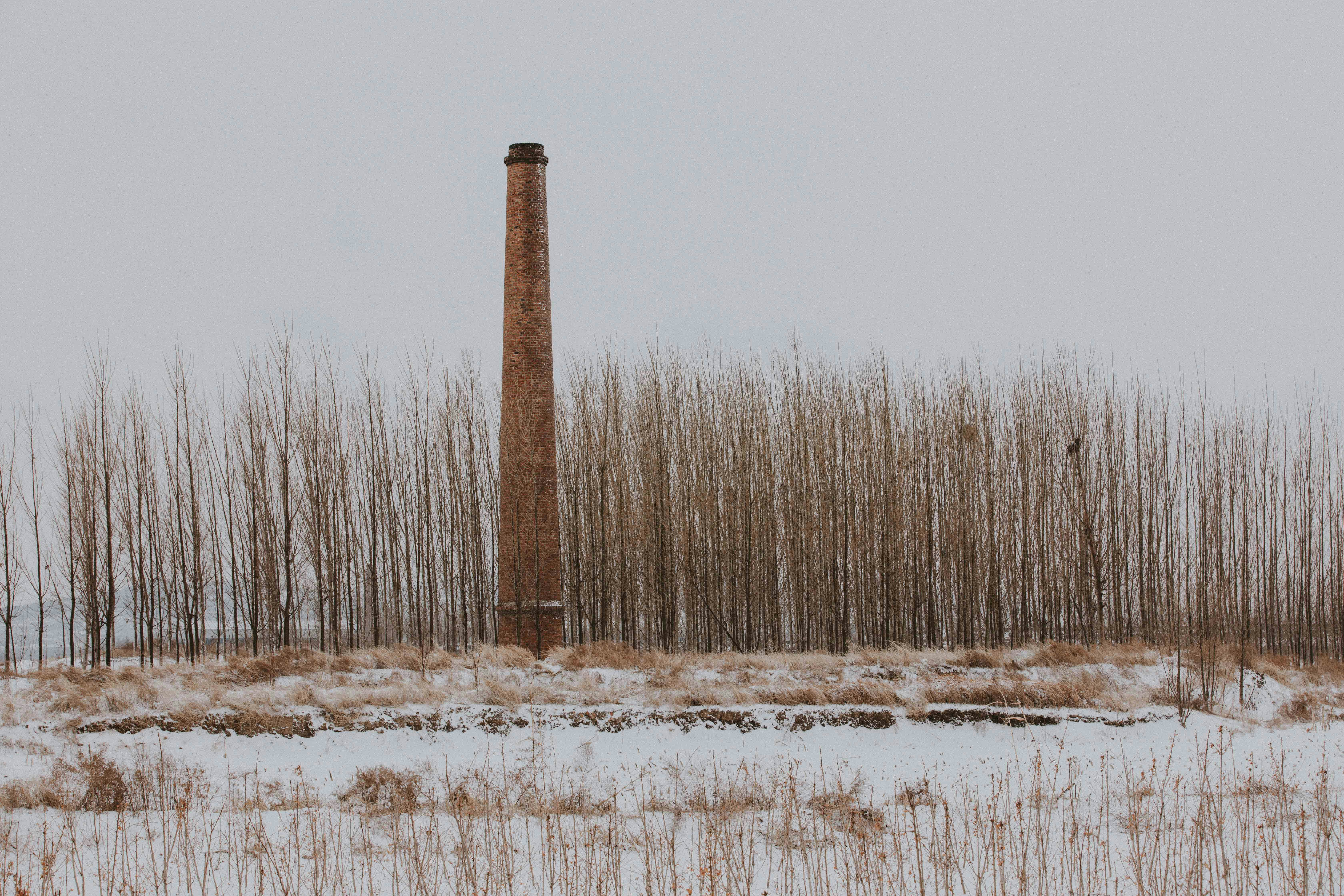 Single Brick Chimney Rising Above Winter Field
